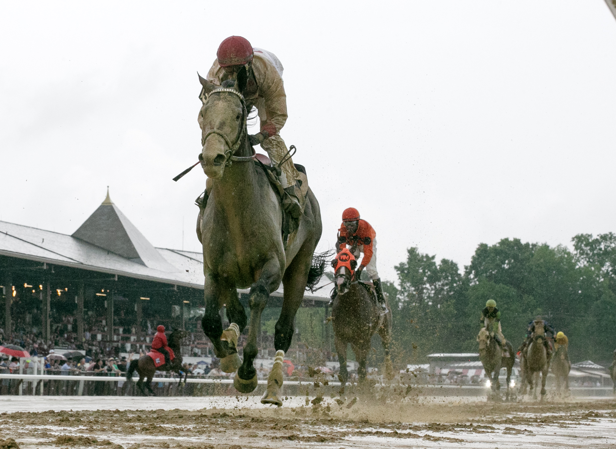 Australia: Parchment Party goes for longshot try at Melbourne Cup