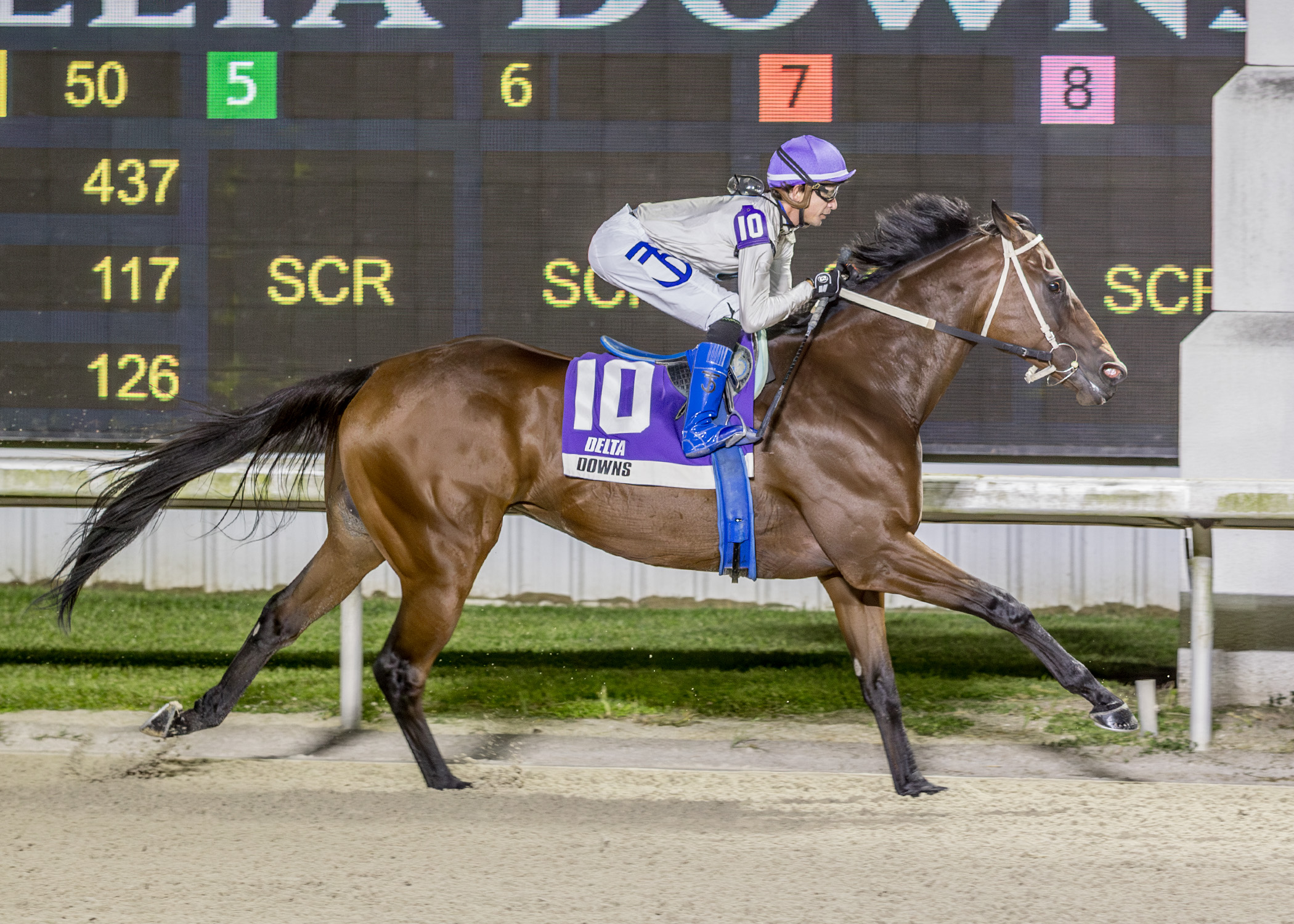 Delta downs | Horse Racing Track News | DRF