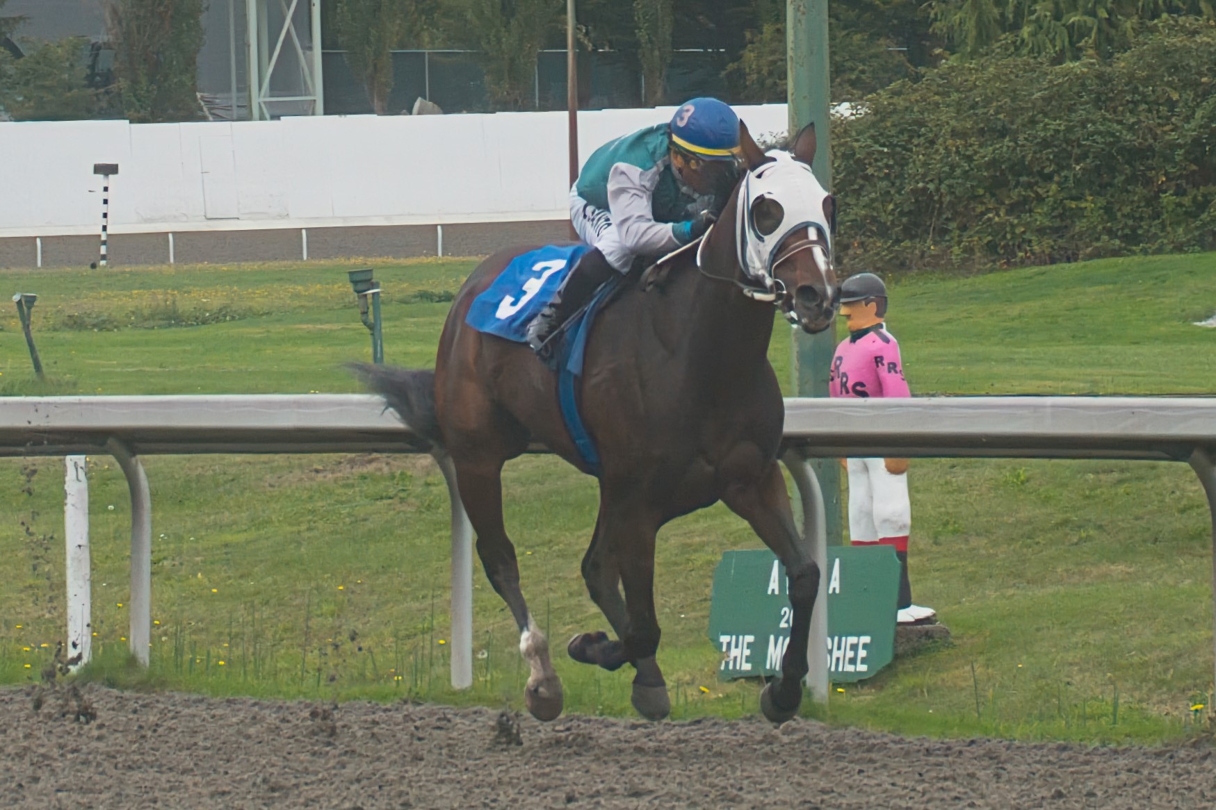 Hastings Racecourse Live Horse Racing Track News & Schedules