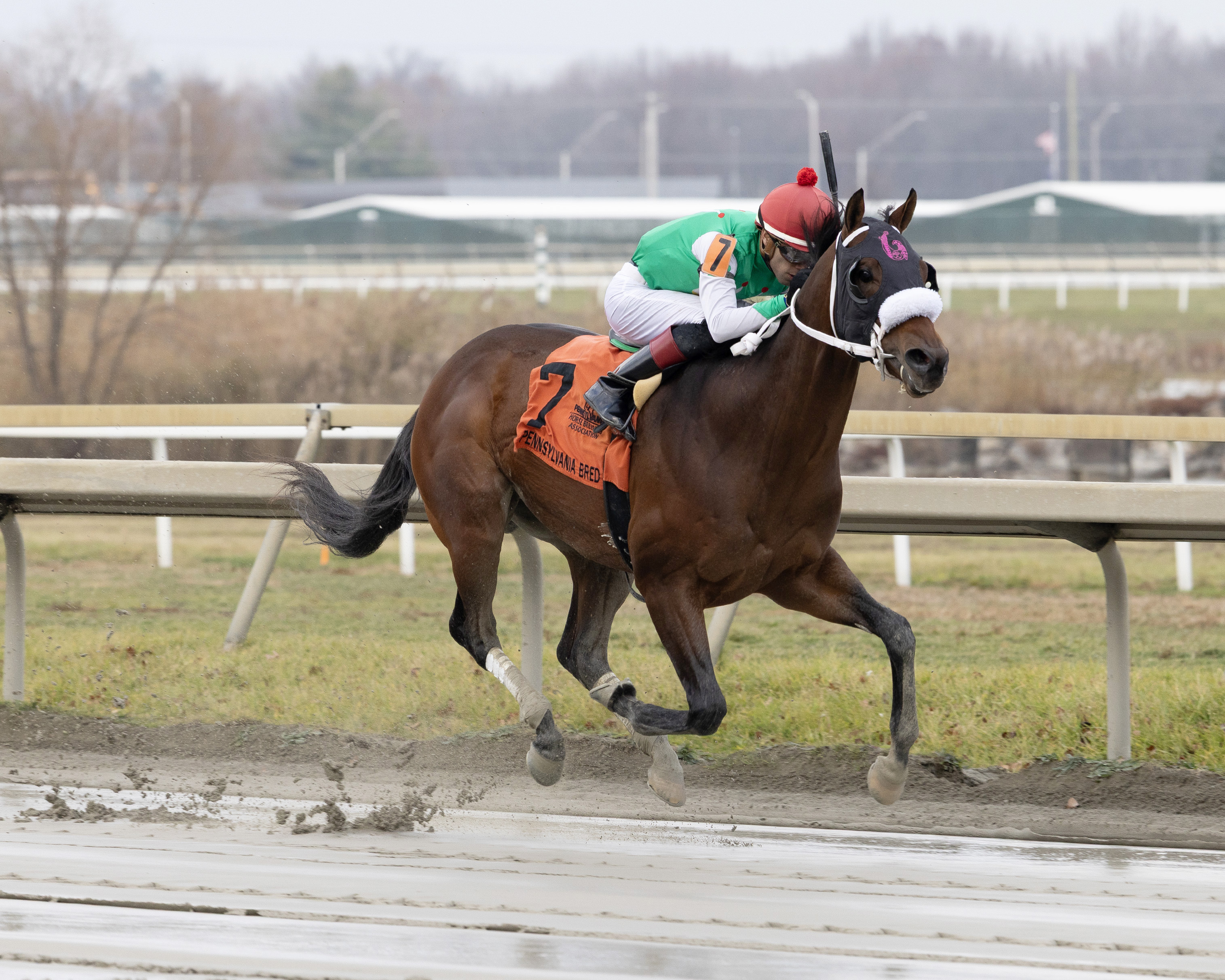 Parx Racetrack Live Horse Racing Schedule, Picks, & News Today
