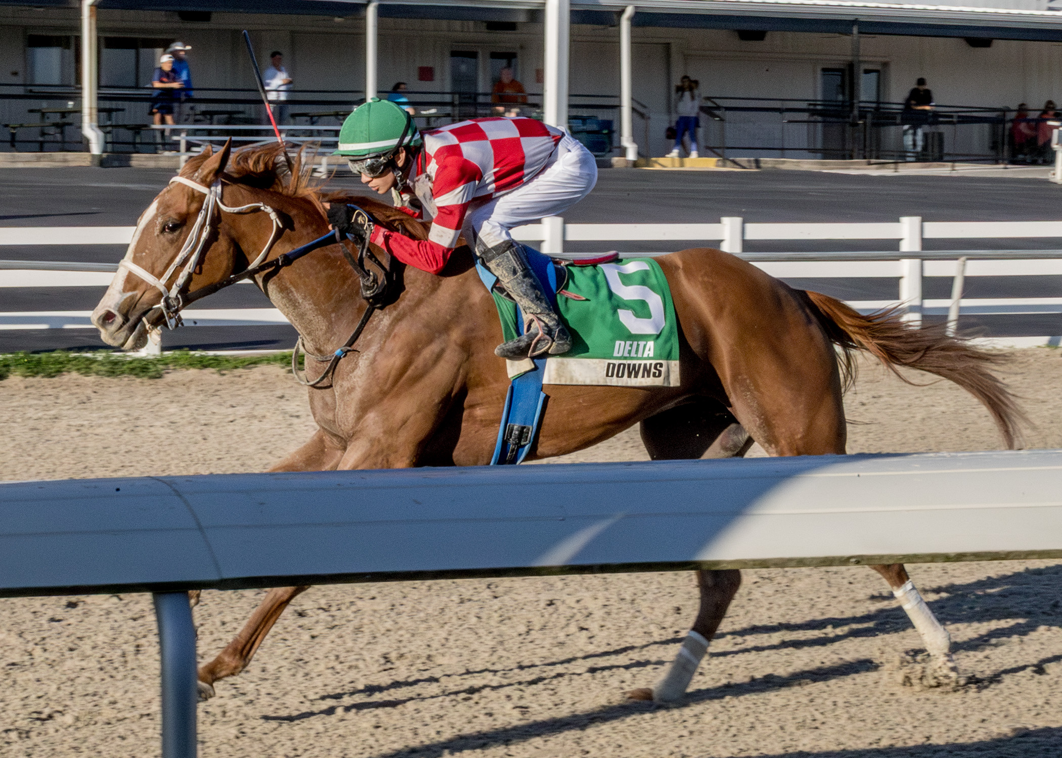 Actis earns first stakes win in My Trusty Cat romp