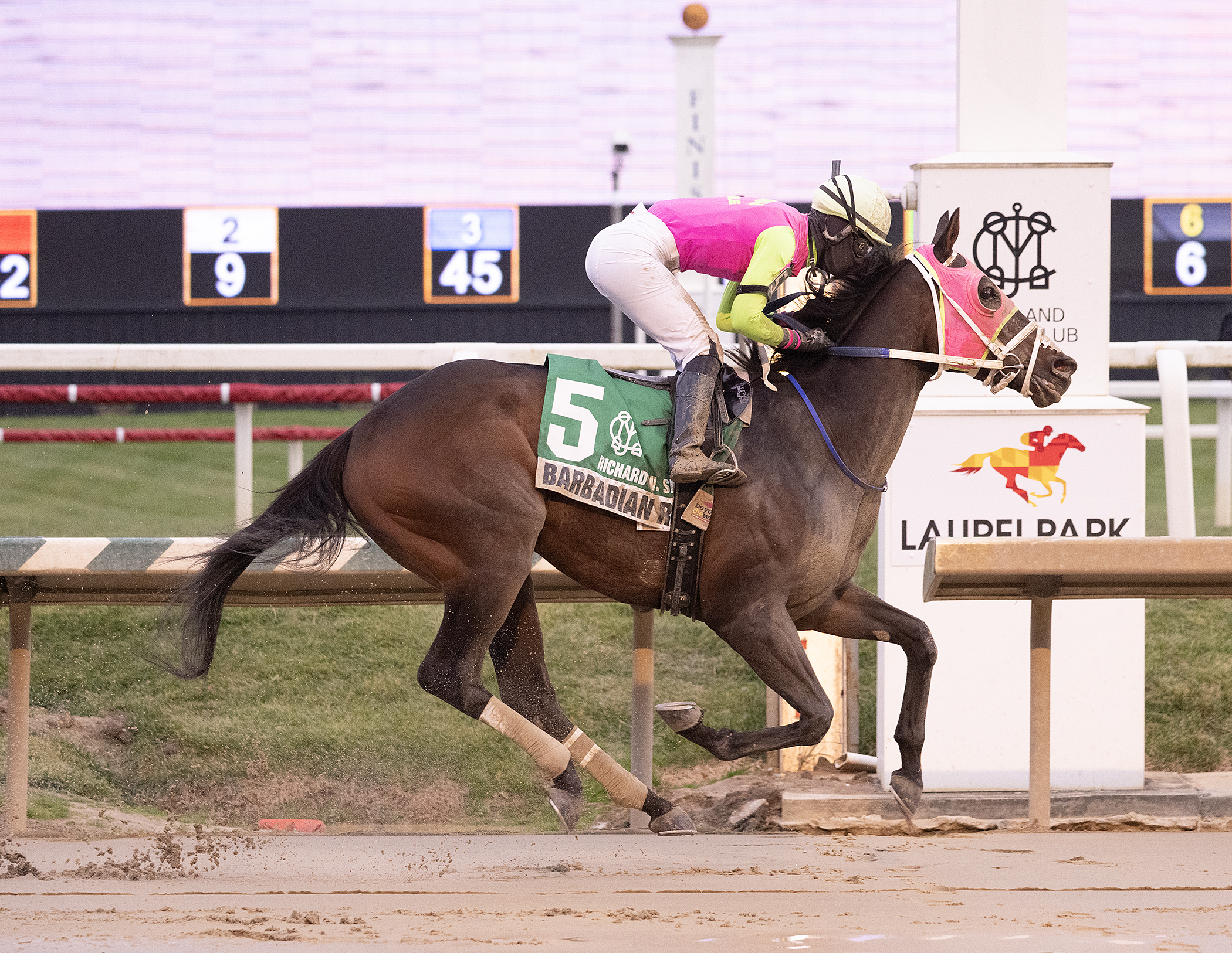 Barbadian Runner has no problem with Richard W. Small Stakes