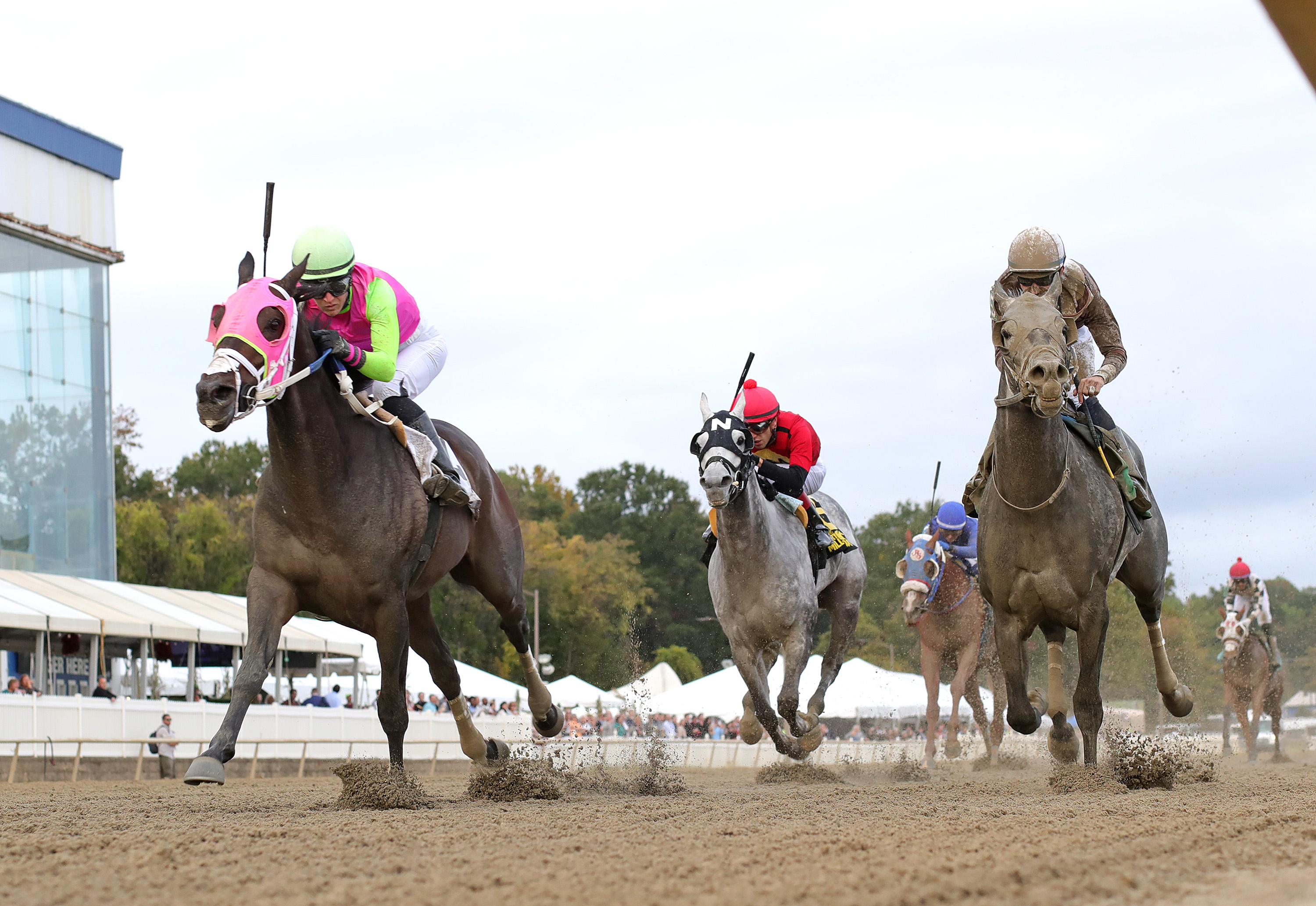 Barbadian Runner not sneaking up on anyone in Richard W. Small Stakes