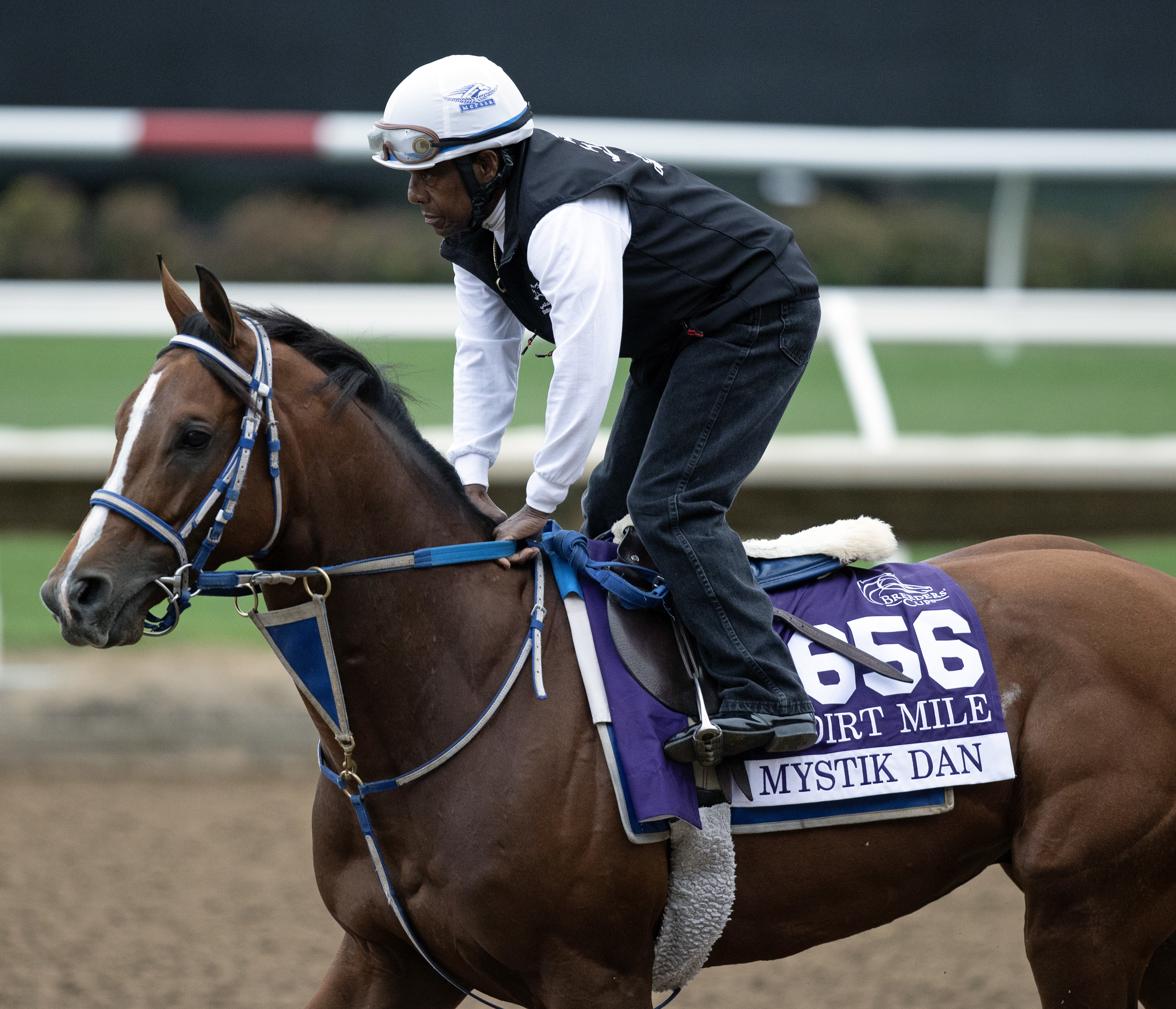 Breeders' Cup: Mystik Dan, Sweet Azteca, Tamara scratched by vets