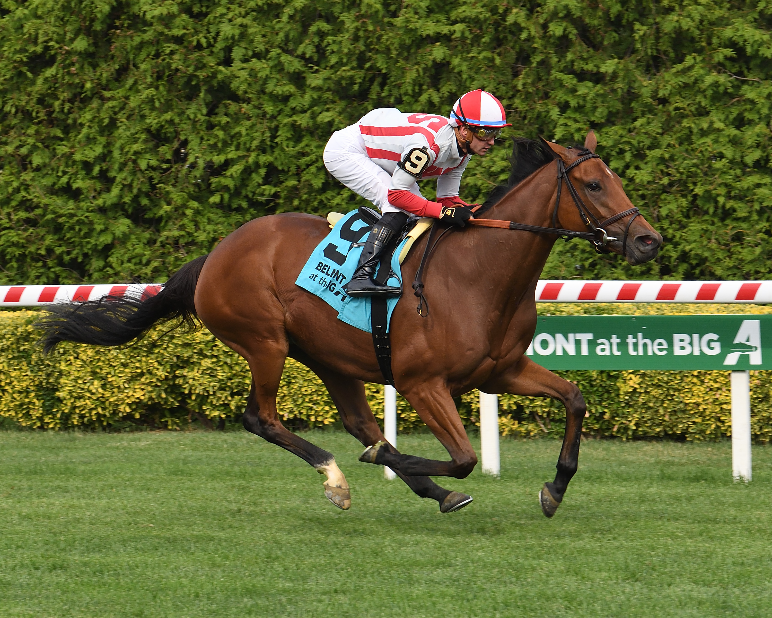 Oversubscribed returns from yearlong layoff for Forever Together Stakes