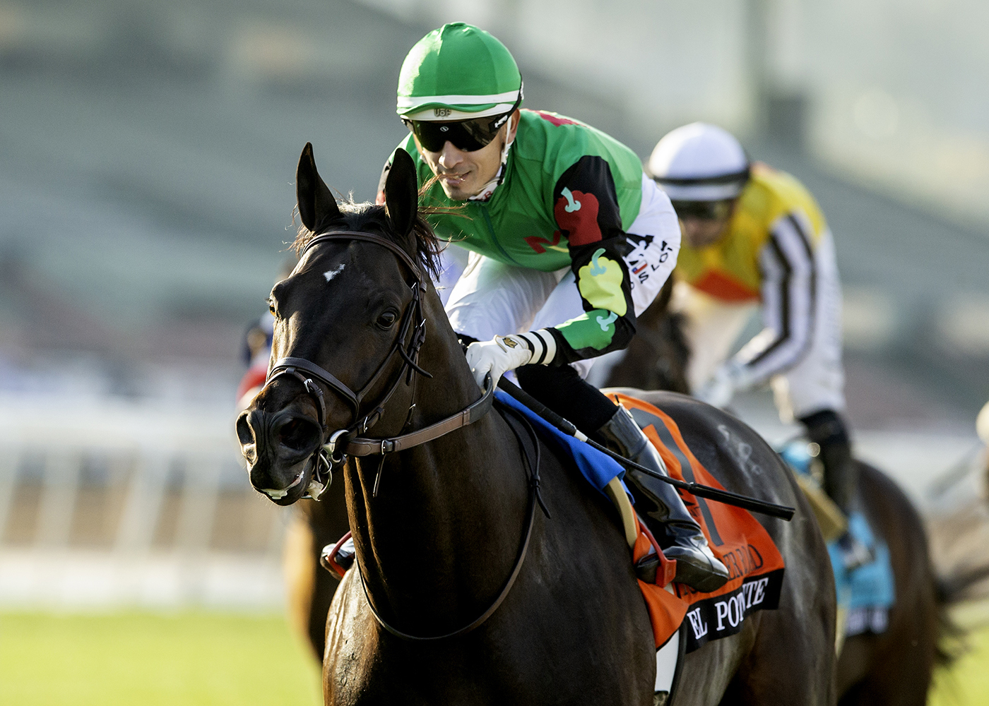 Brad Free's Del Mar Horses to Watch for Nov. 28-30