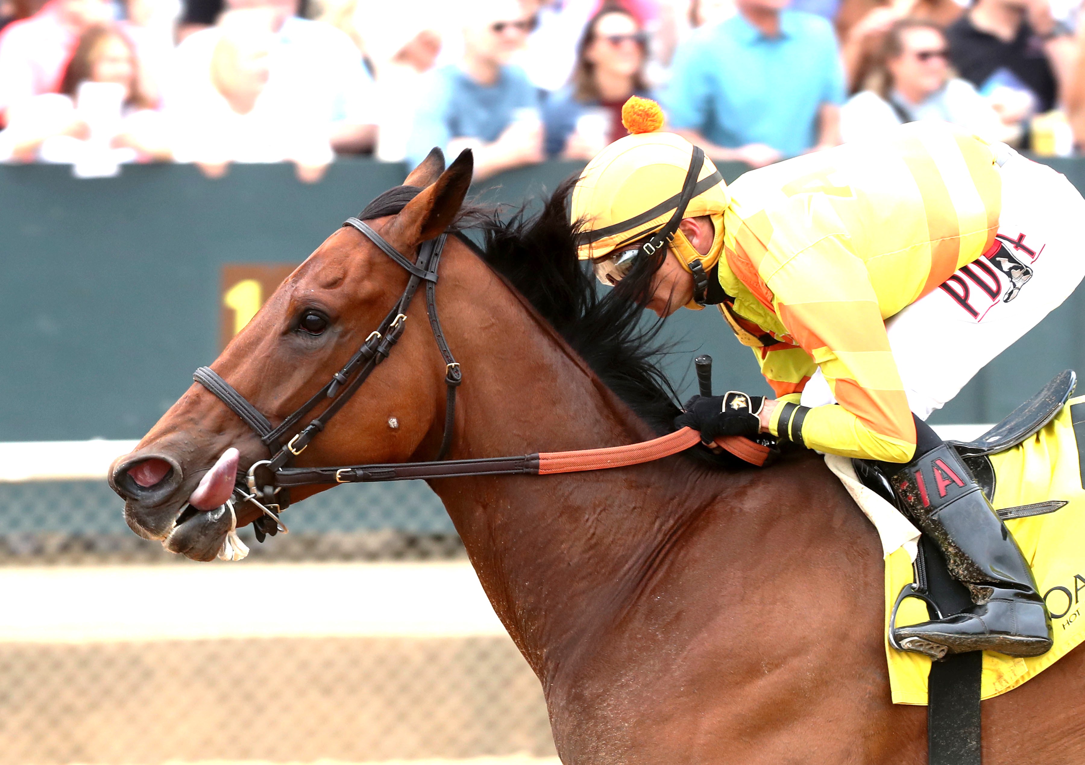Casse bids for eighth Valedictory Stakes