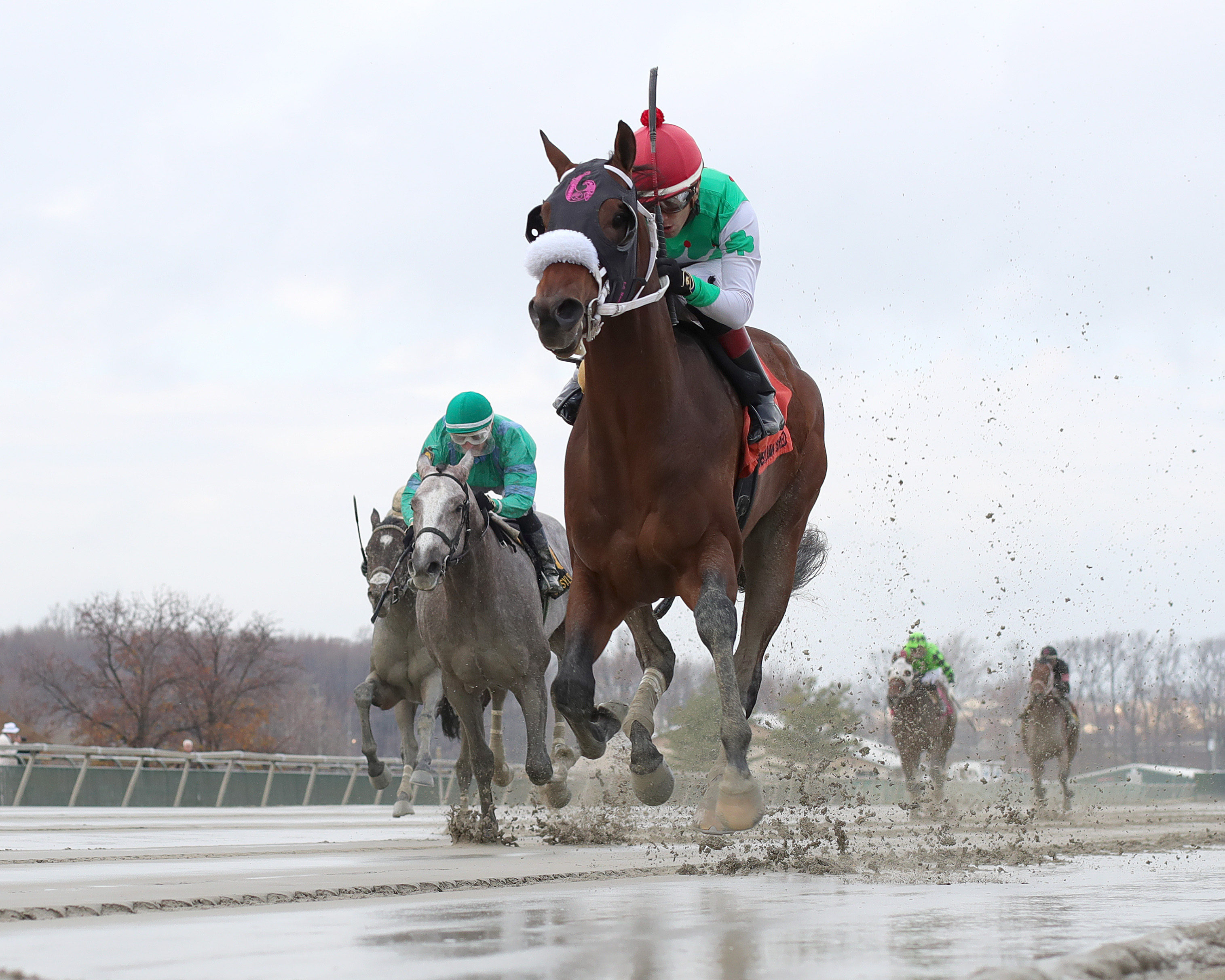 Parx Racetrack Live Horse Racing Schedule, Picks, & News Today