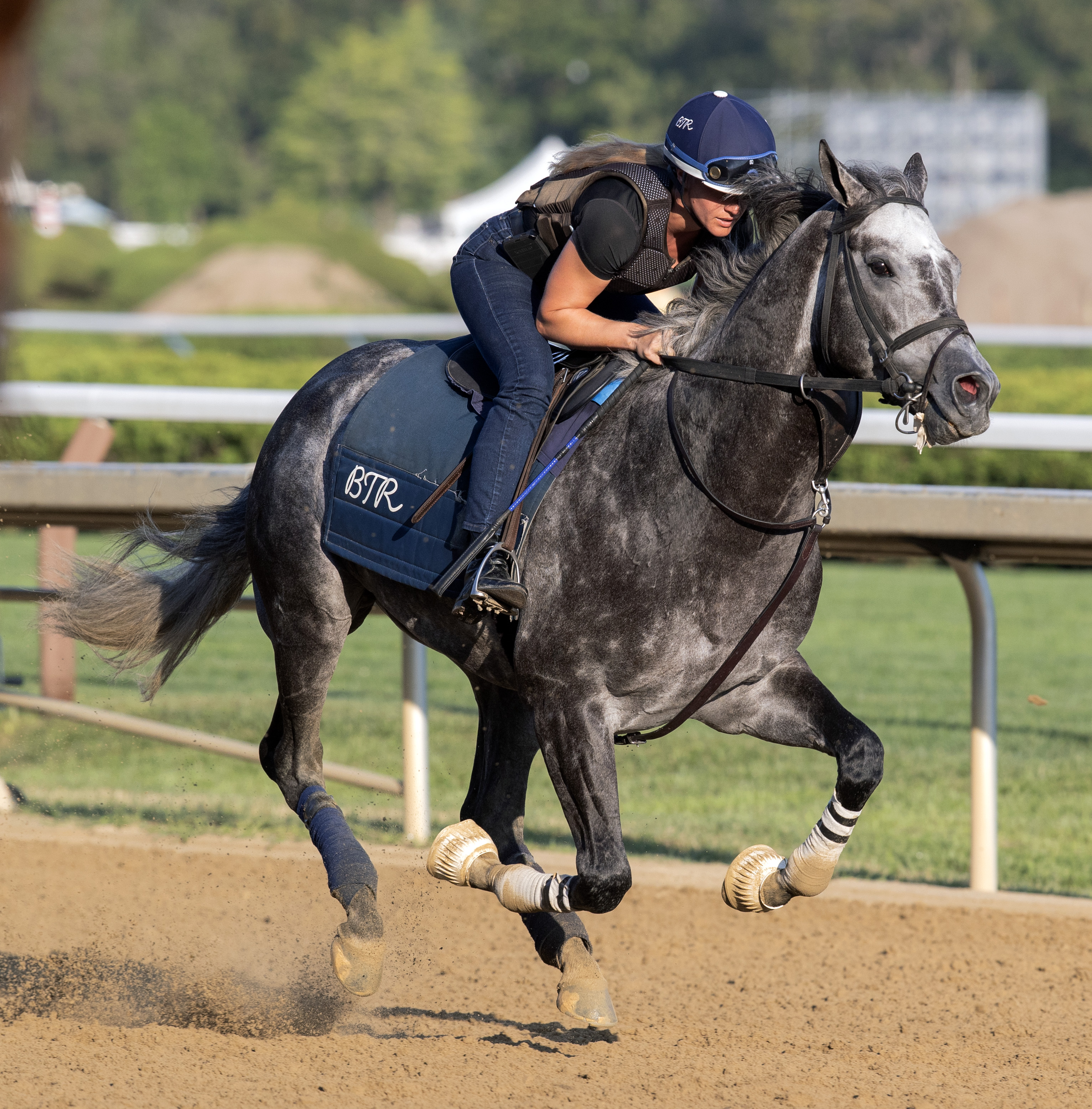 Laurel Park: Live Horse Racing Track Results, Picks, & News