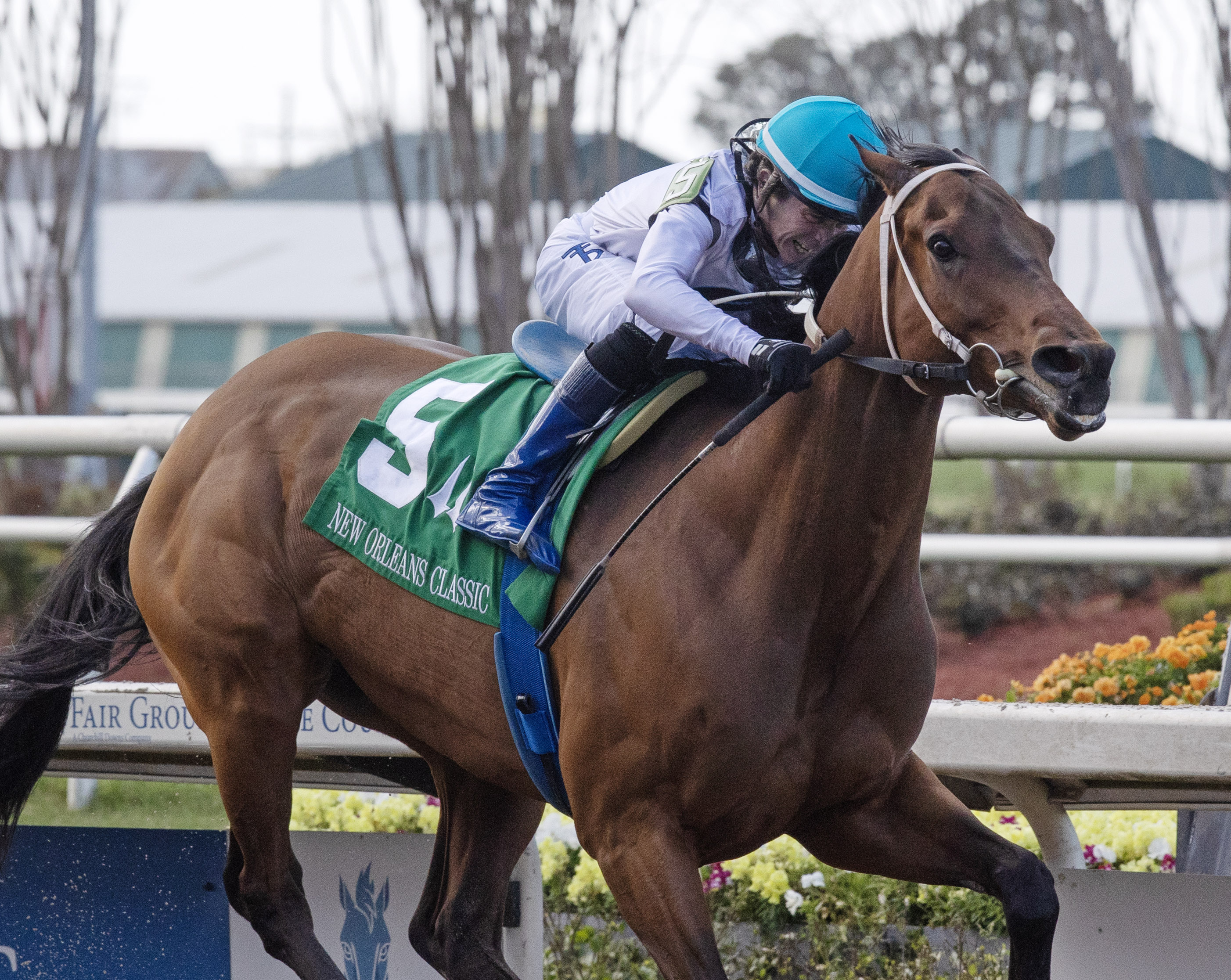 Touchuponastar towers over foes in Louisiana Champions Day Classic