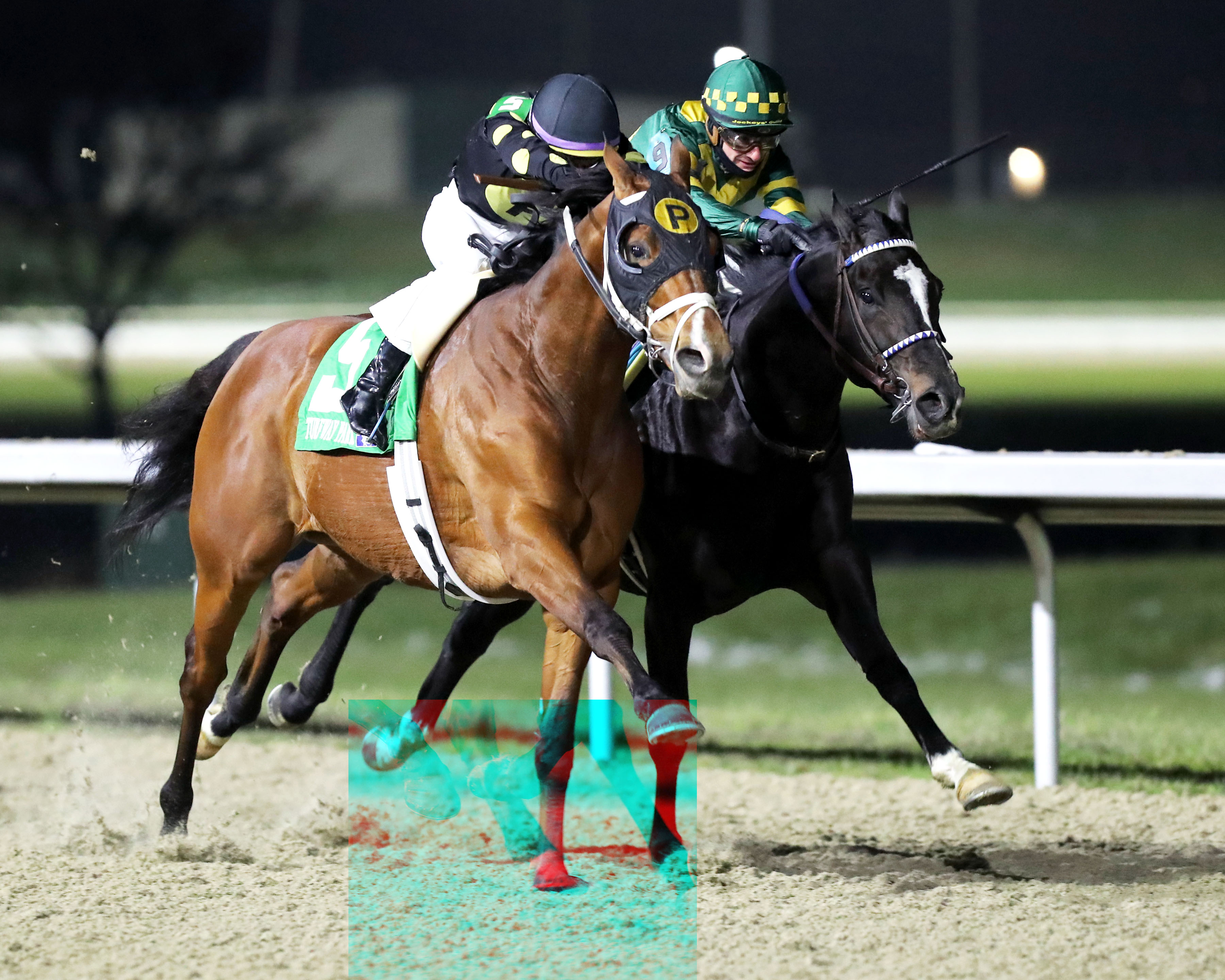 Turfway Park: Live Horse Racing Schedule, Track Events, & News