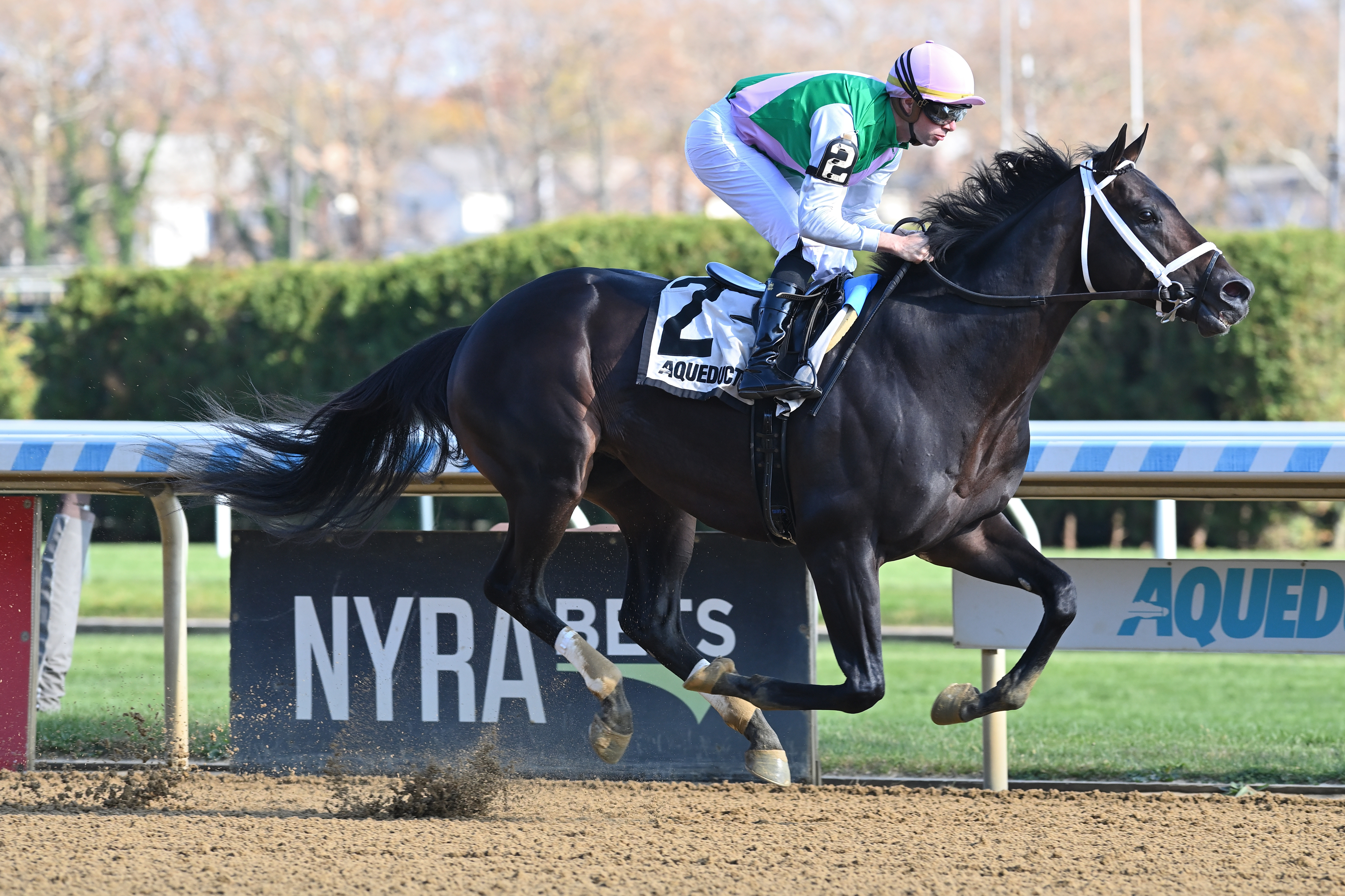 Daily Racing Form | Horse Racing | Entries | Results | PPs (Past ...