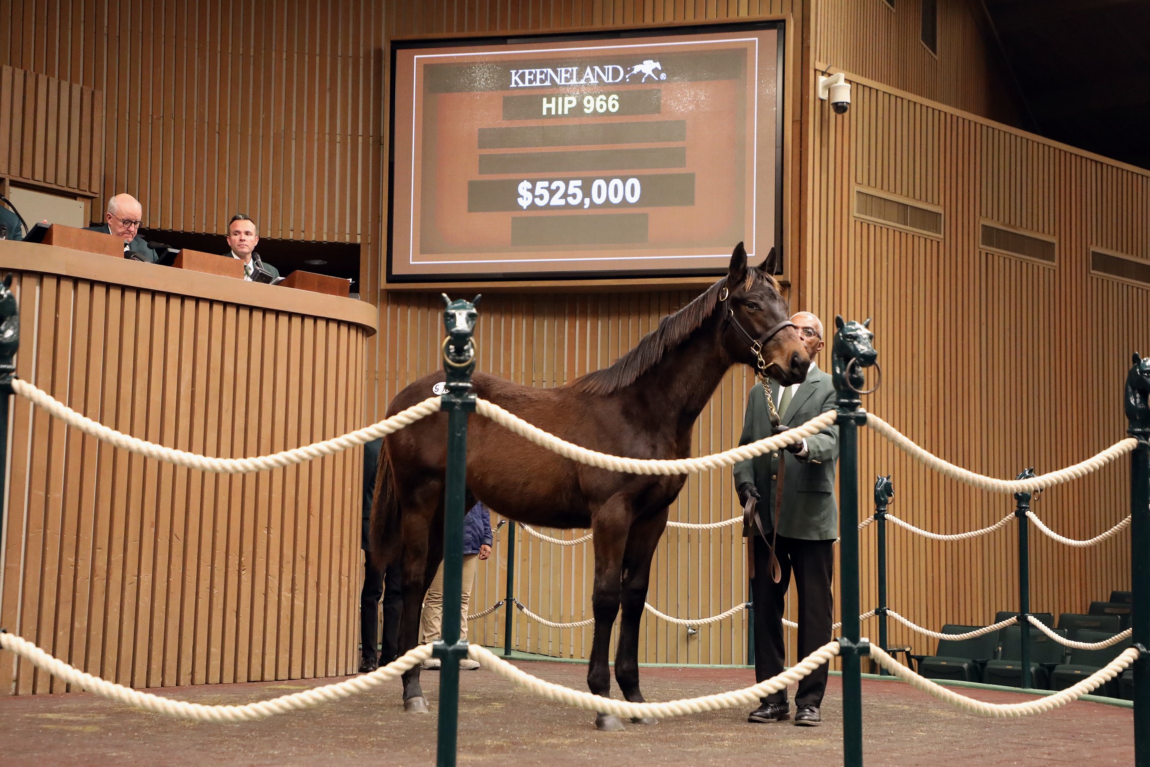 Nyquist colt sells for $525,000 at Keeneland January sale