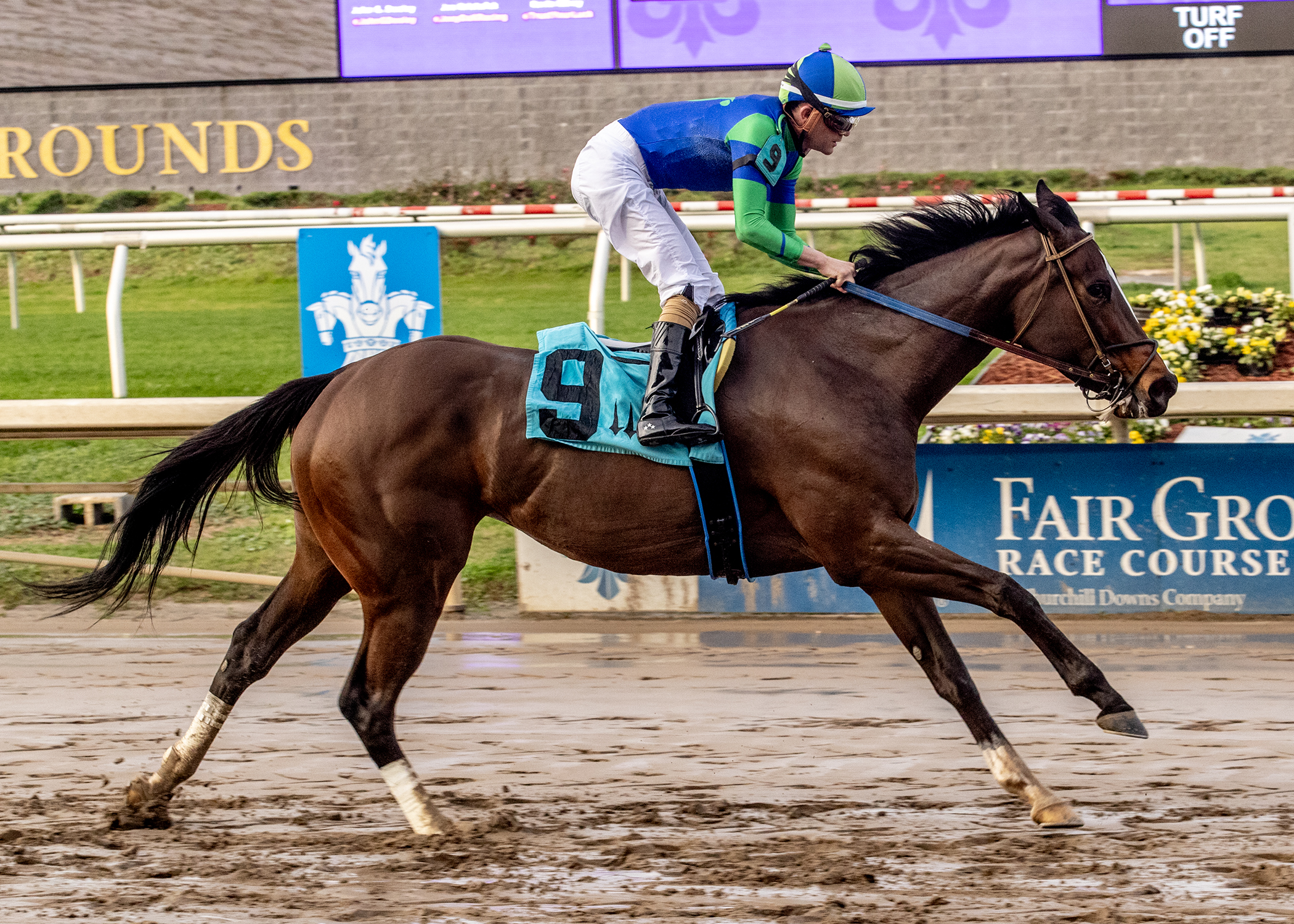 Lotsandlotsofcandy romps in off-turf Menard Memorial