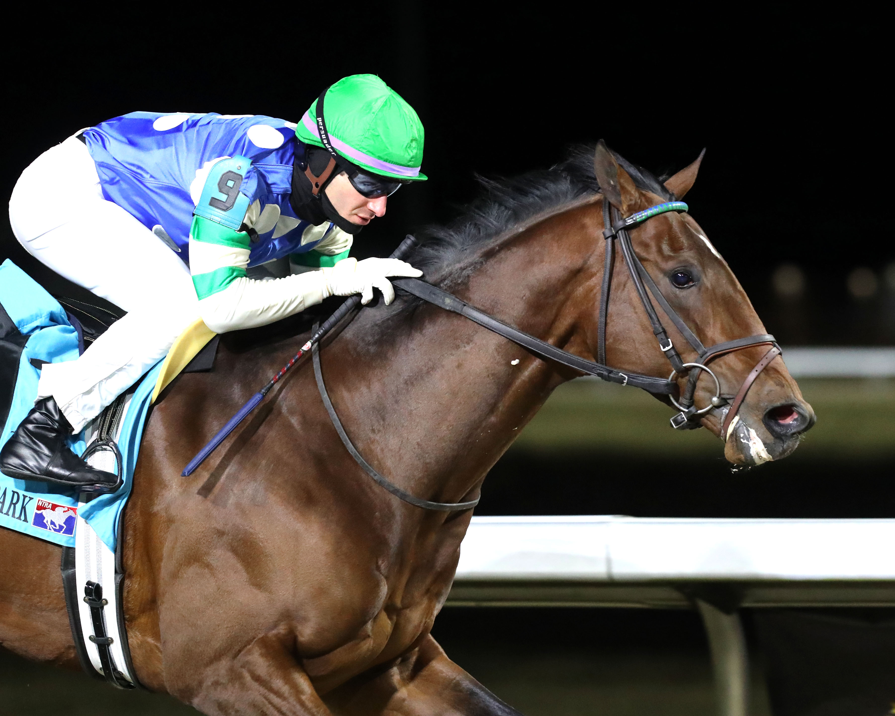 Street Beast makes statement with Leonatus Stakes