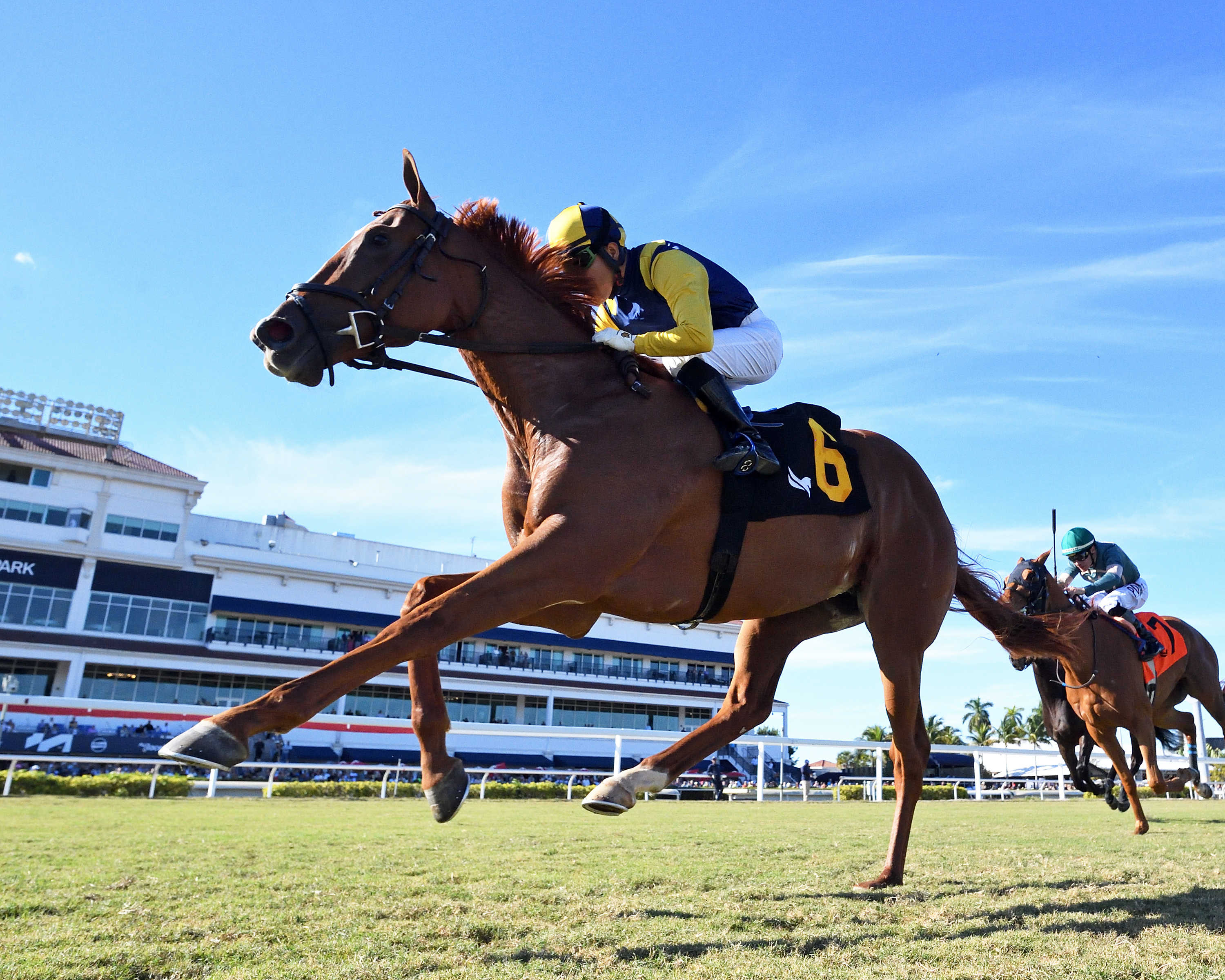 Alpyland, Sister Troienne try to extend streaks in separate turf stakes