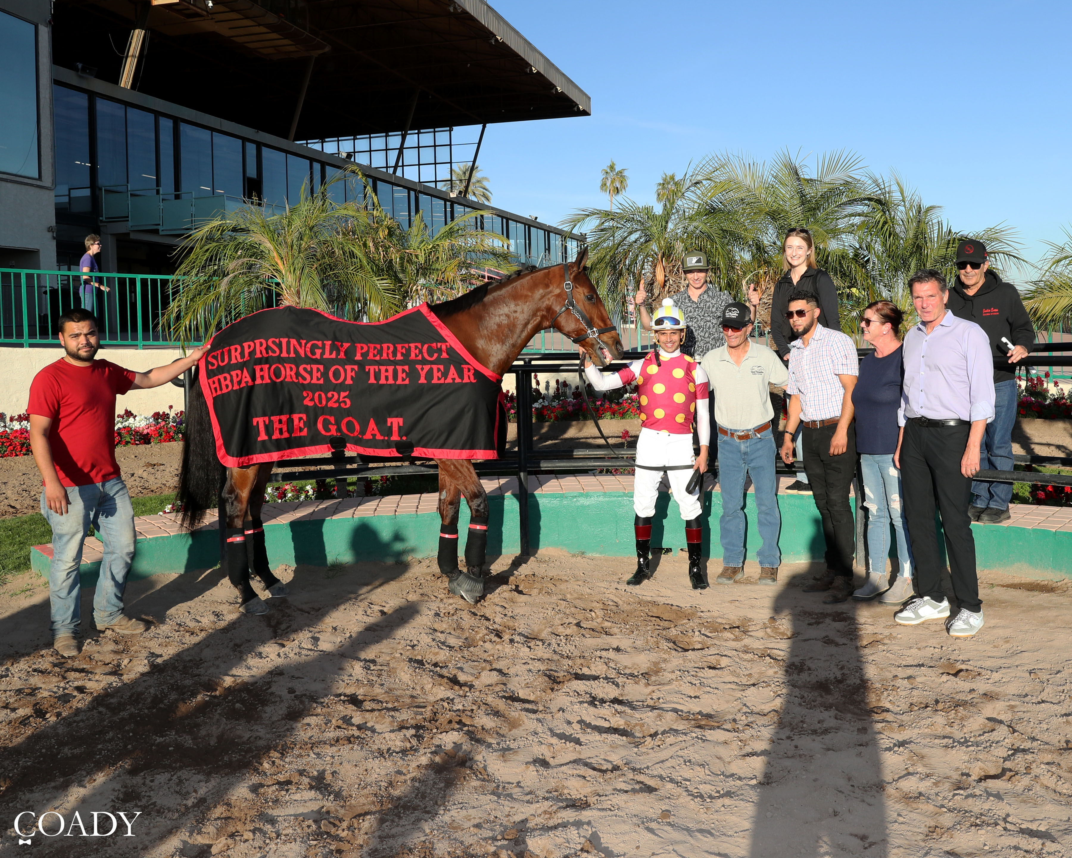 Turf Paradise | Horse Racing Track News | DRF