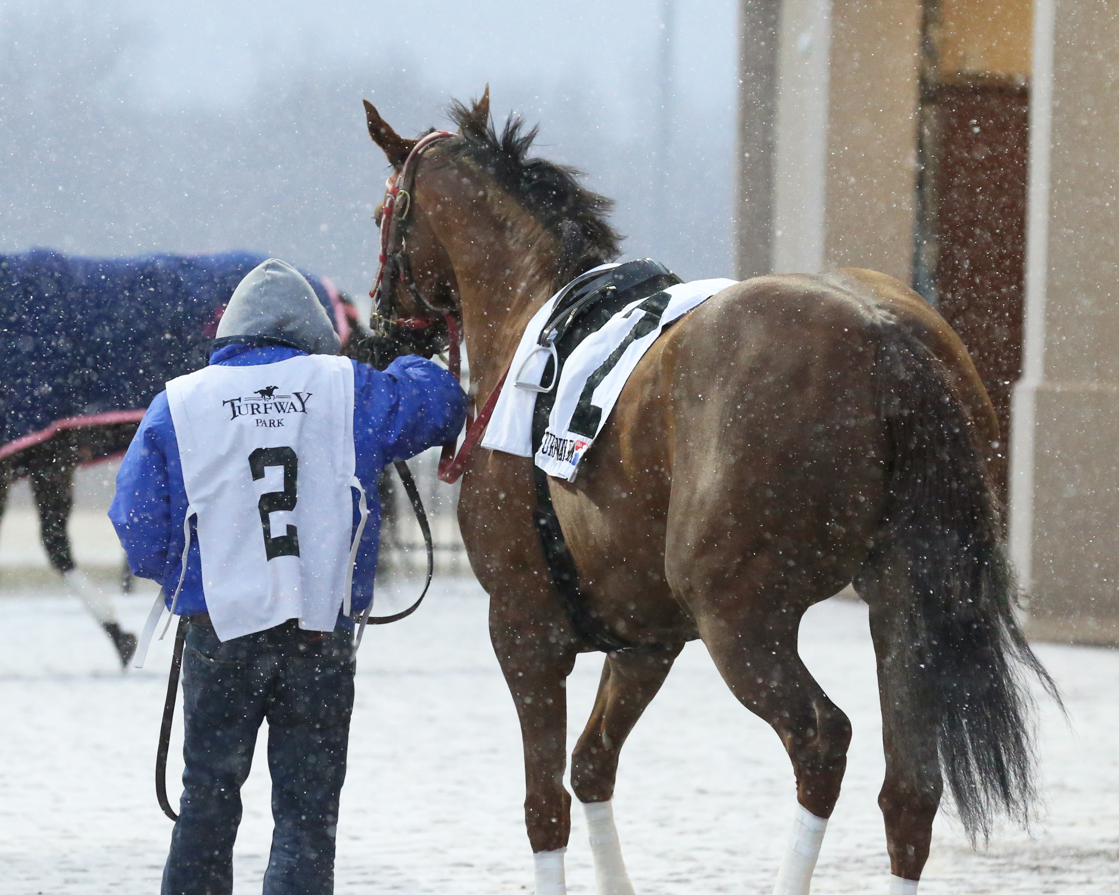 Turfway cancels Friday and Saturday racing due to winter weather