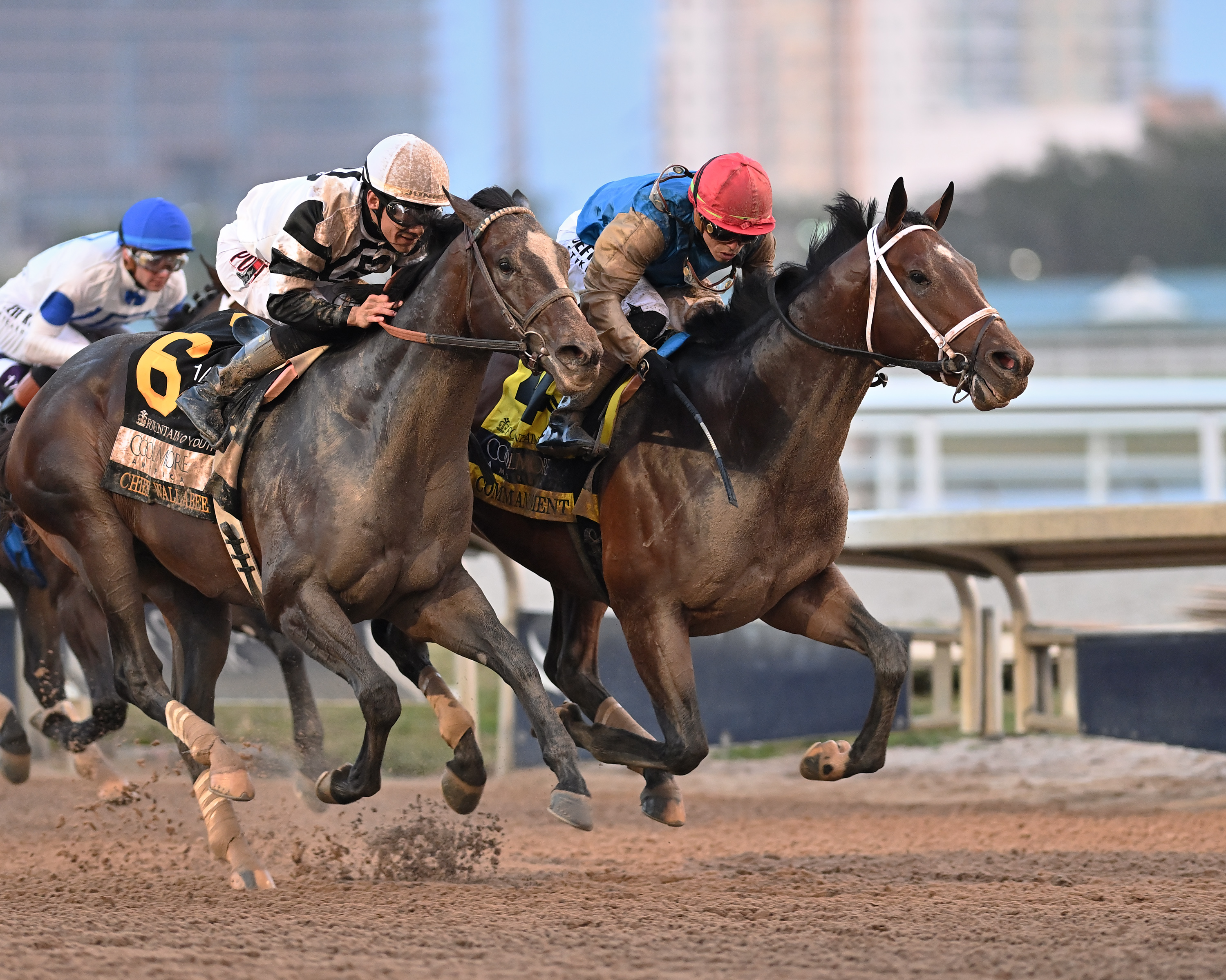 Kentucky Derby 2026: Balls need top-three finish from Chief Wallabee in ...