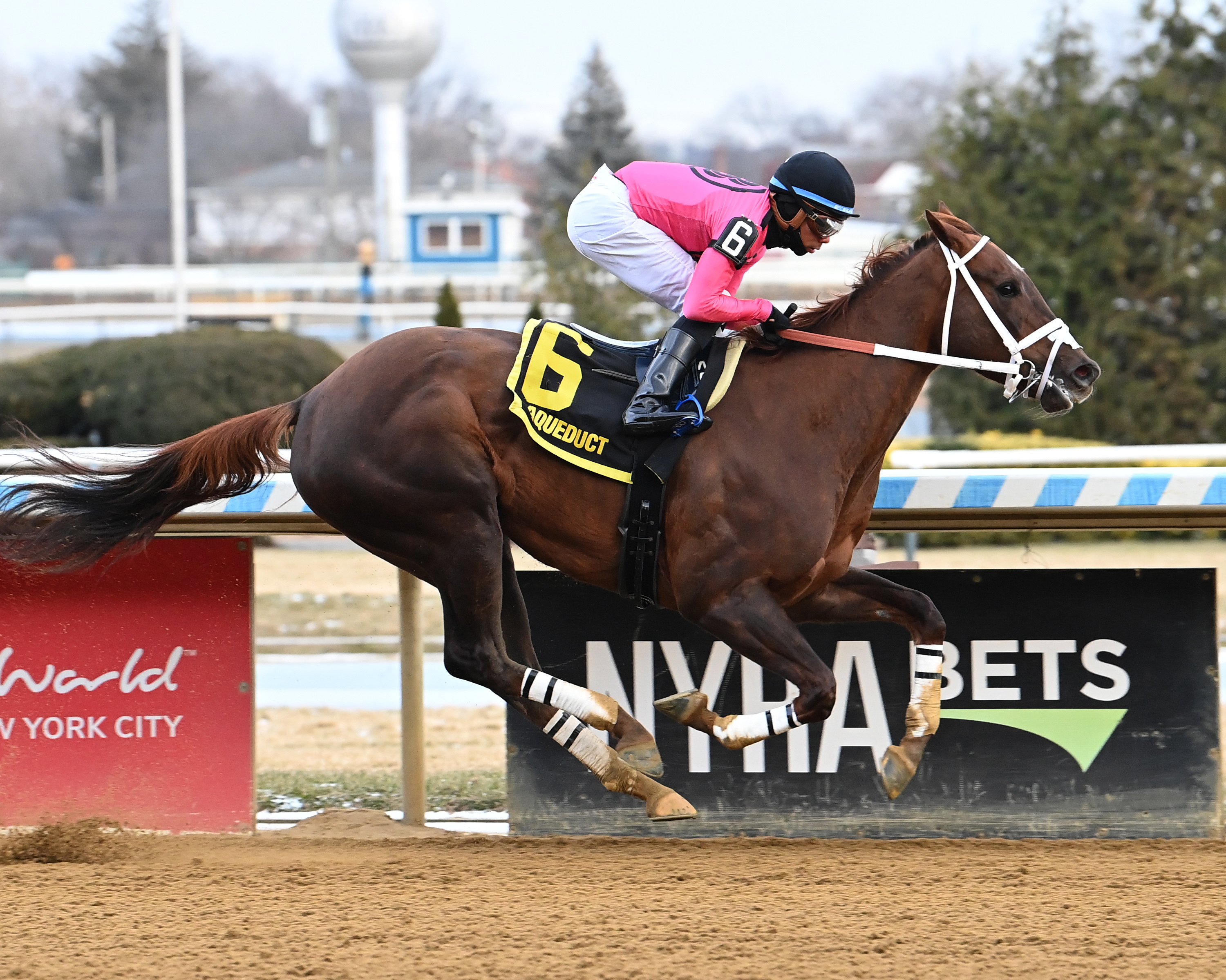 Lucille Ball comes right back after disappointing in stakes debut