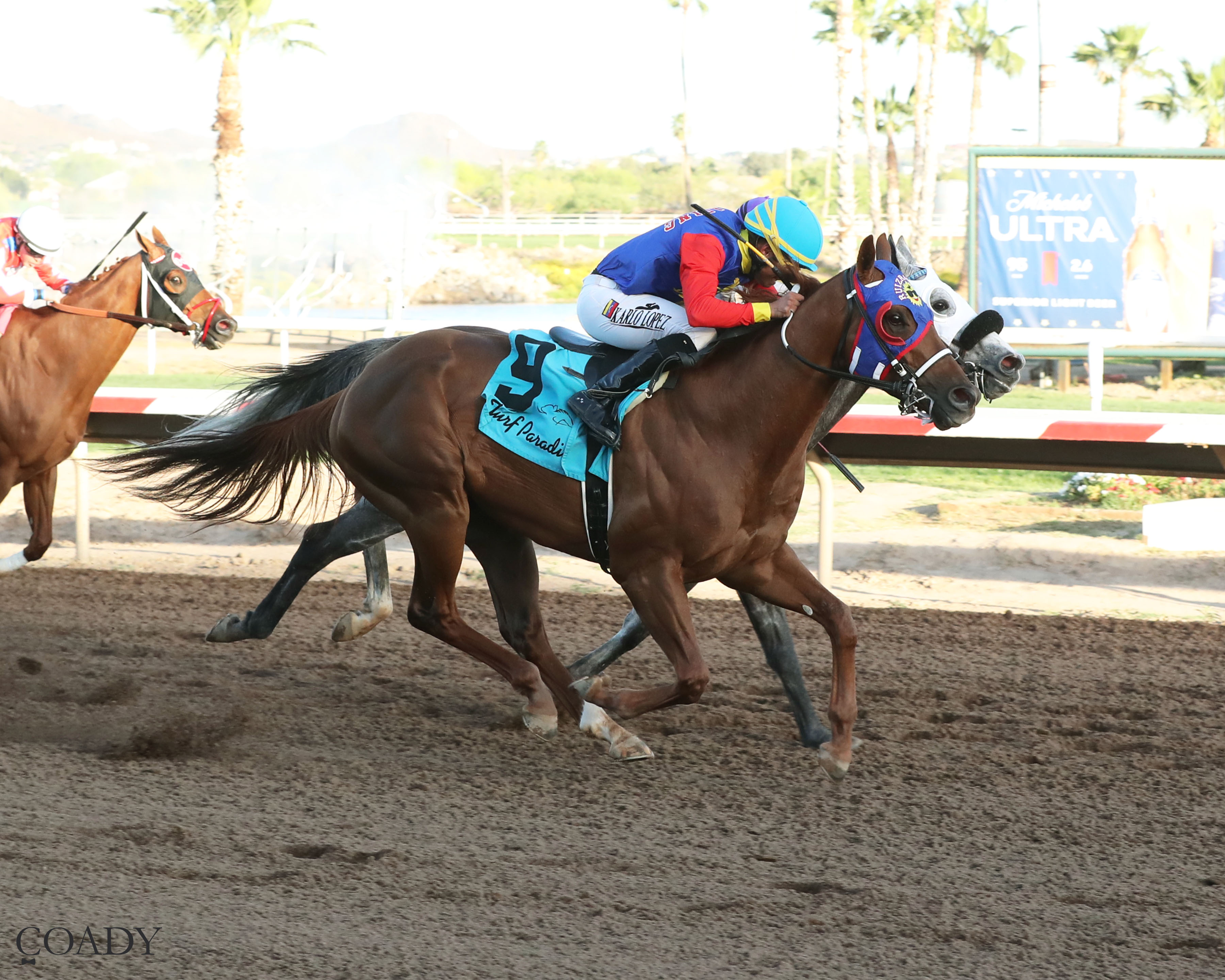 Turf Paradise | Horse Racing Track News | DRF