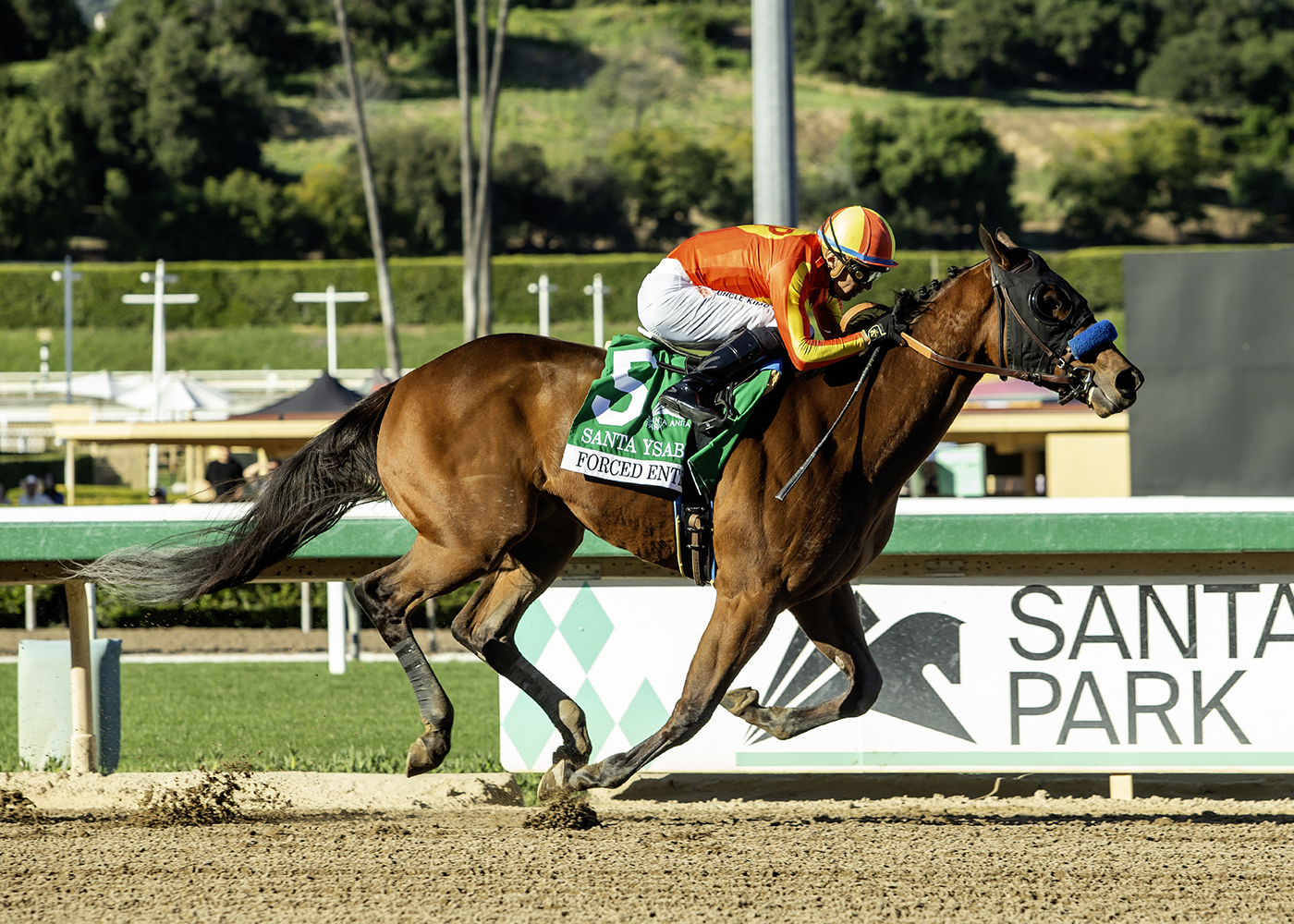 Baffert, Hernandez wrap up great weekend as Forced Entry takes Santa Ysabel