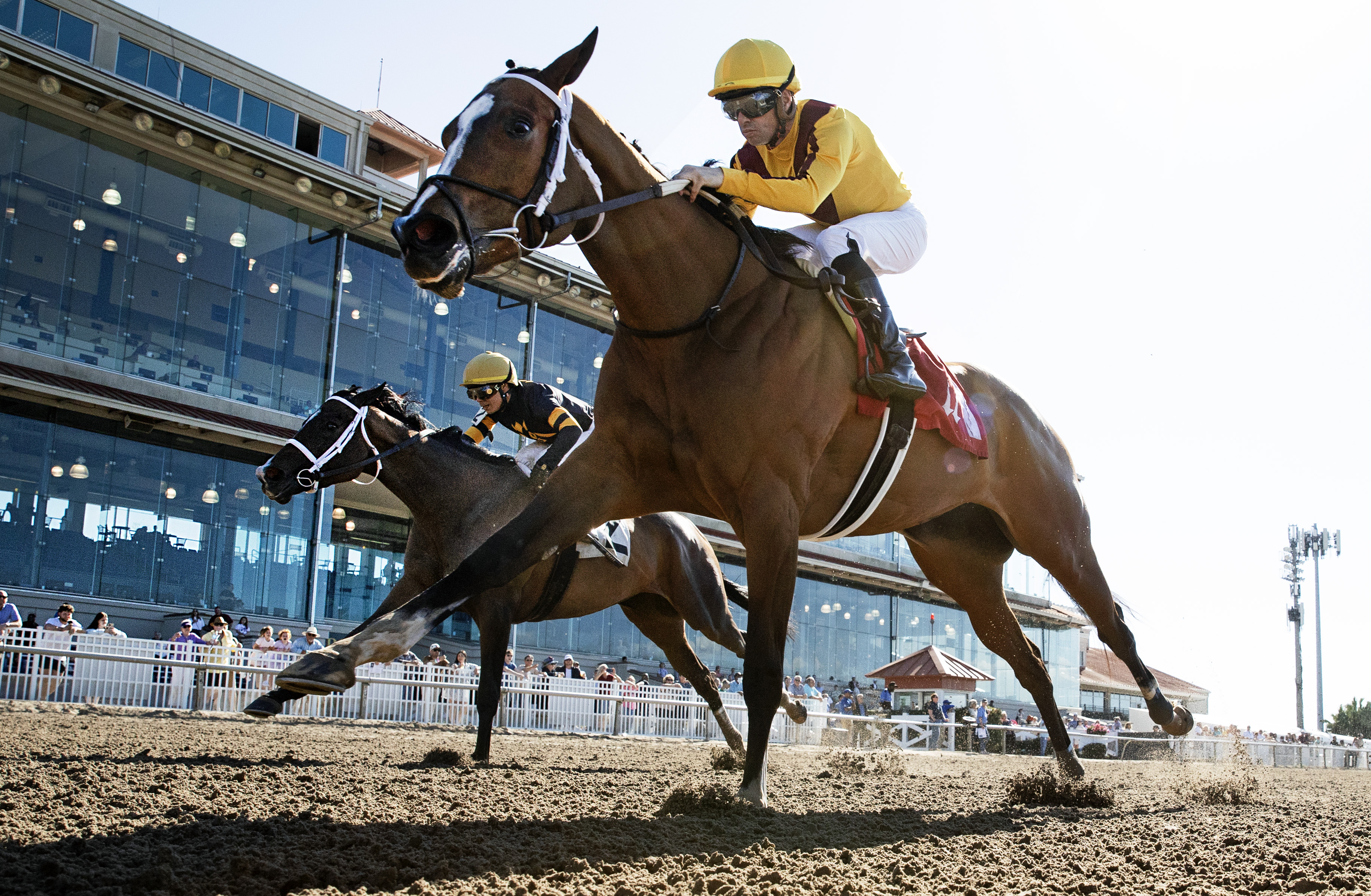 Fair Grounds | Horse Racing Track News | DRF