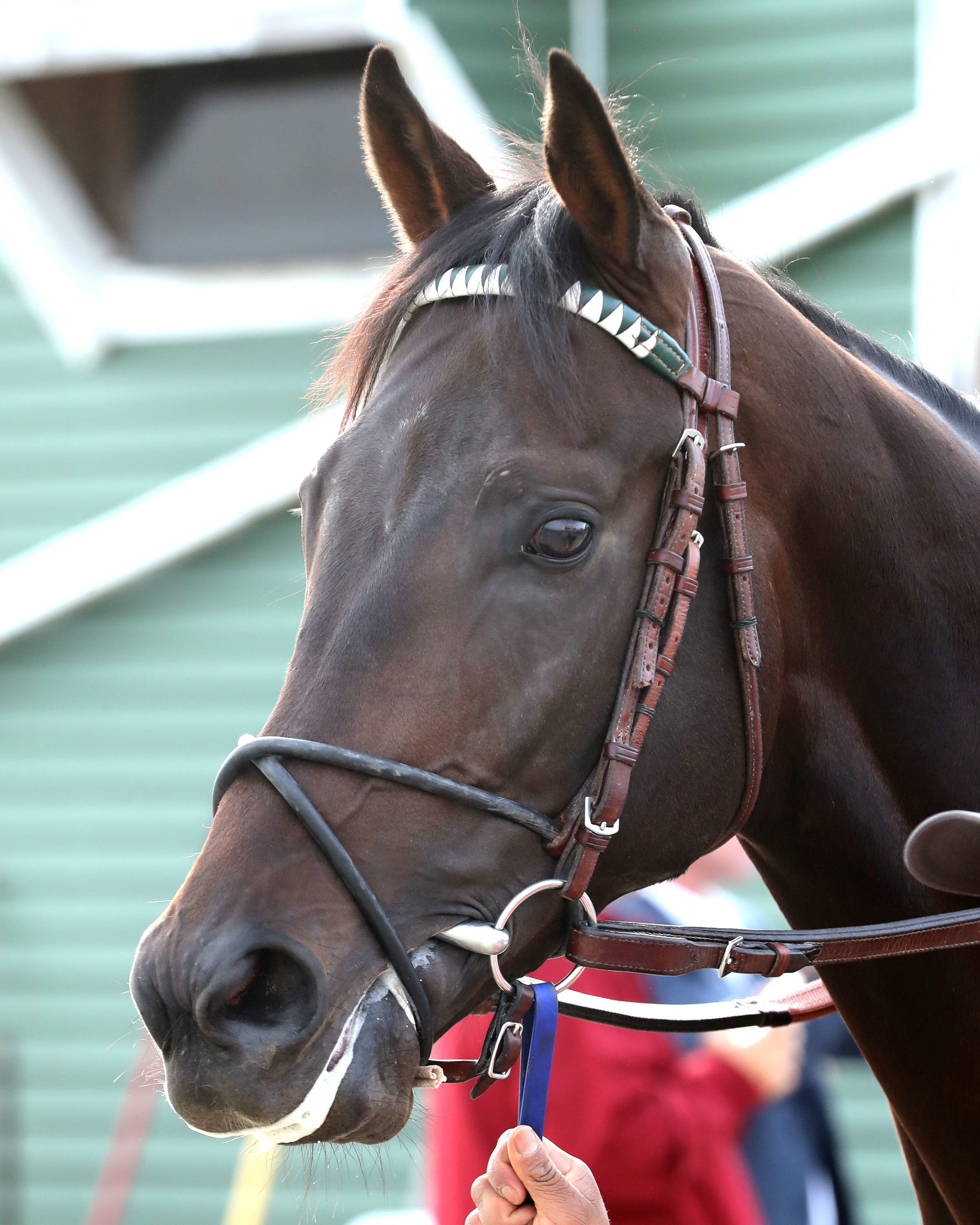 Colonial Downs | Horse Racing Track News | DRF