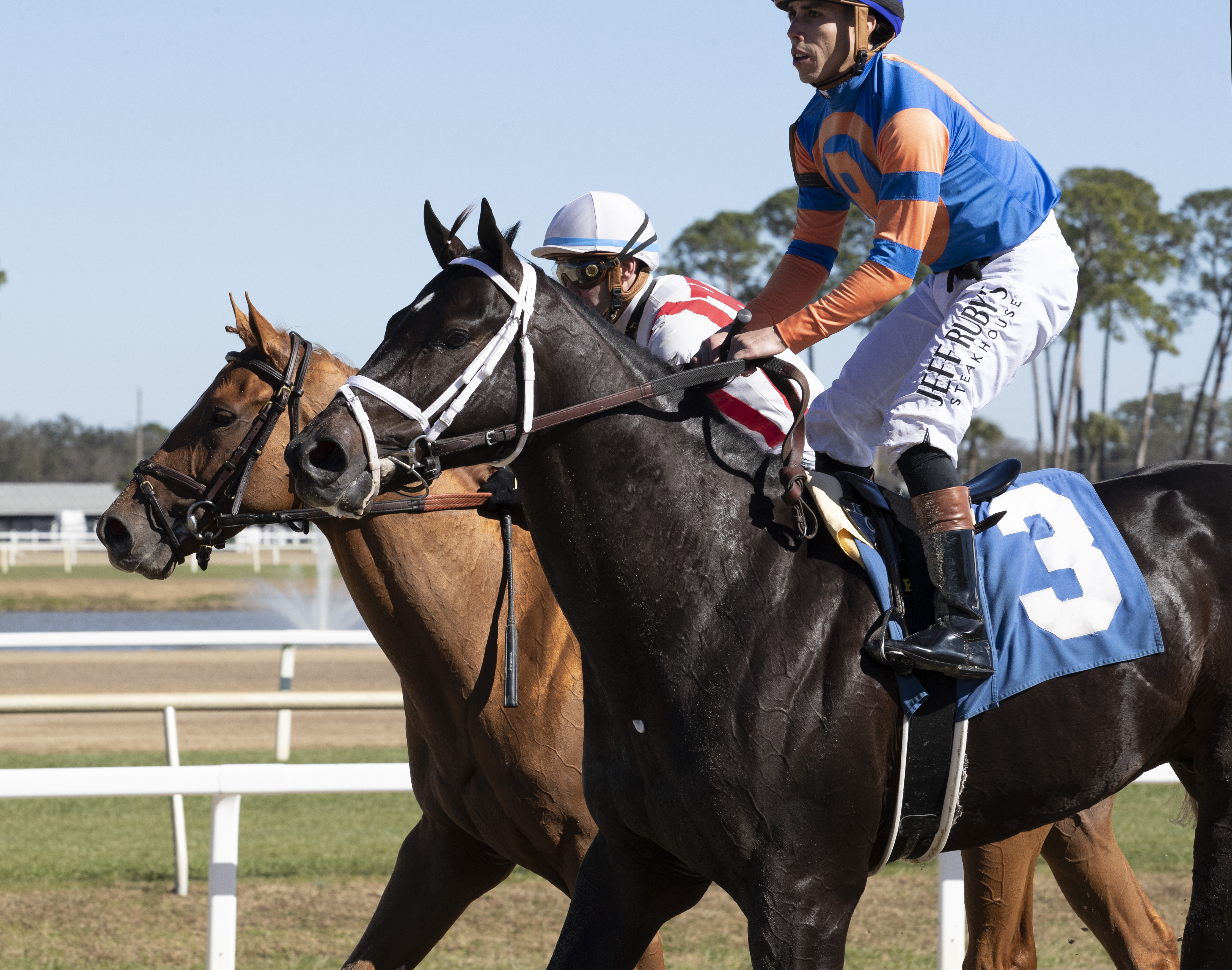 Pletcher seeks seventh Tampa Bay Derby win