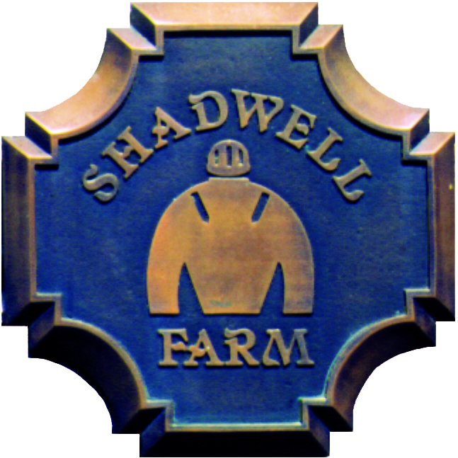Shadwell Farm's Kentucky stallion division for sale
