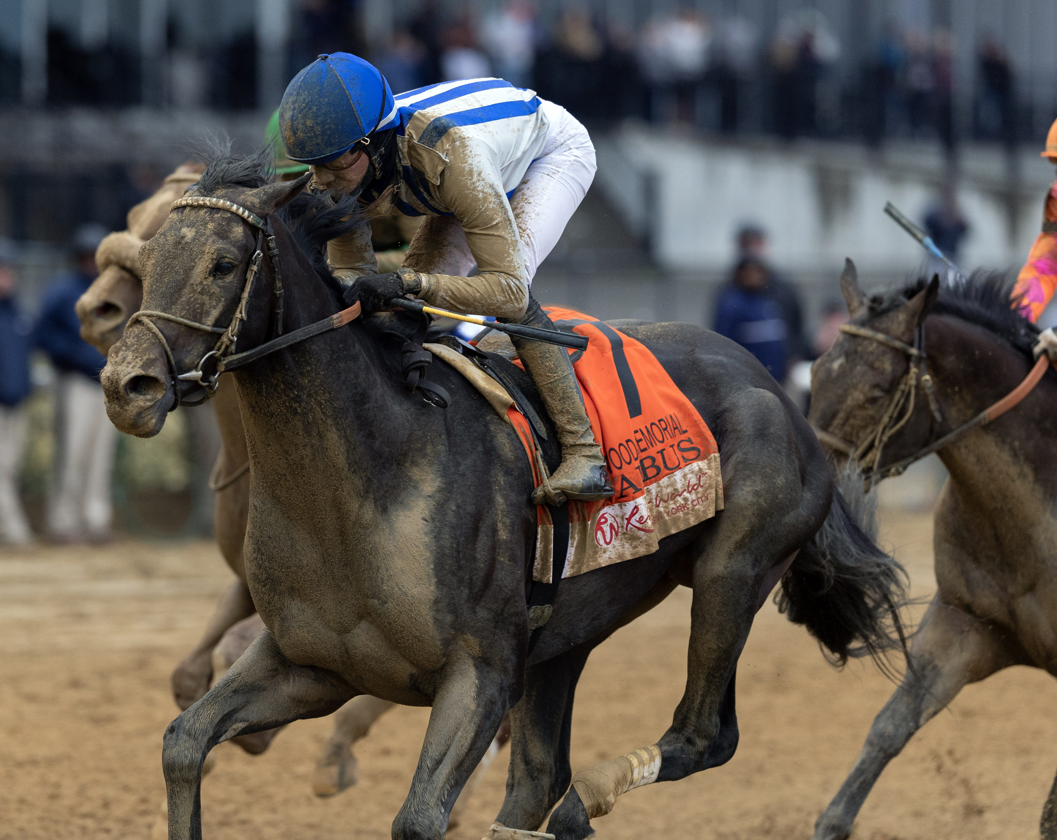 Albus shows strong finish in taking Wood Memorial