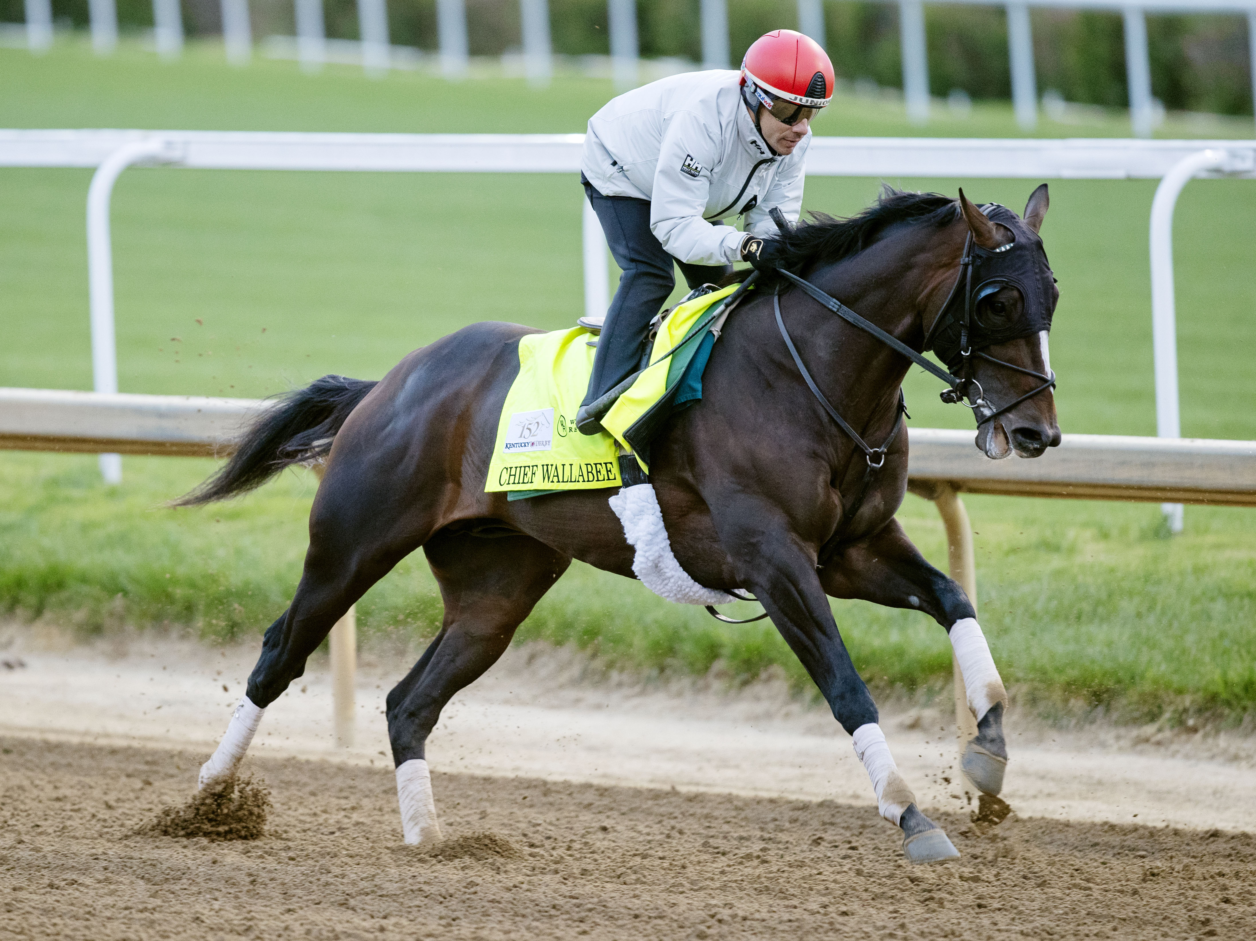 2026 Kentucky Derby Clocker: All aboard for Chief Wallabee after ...