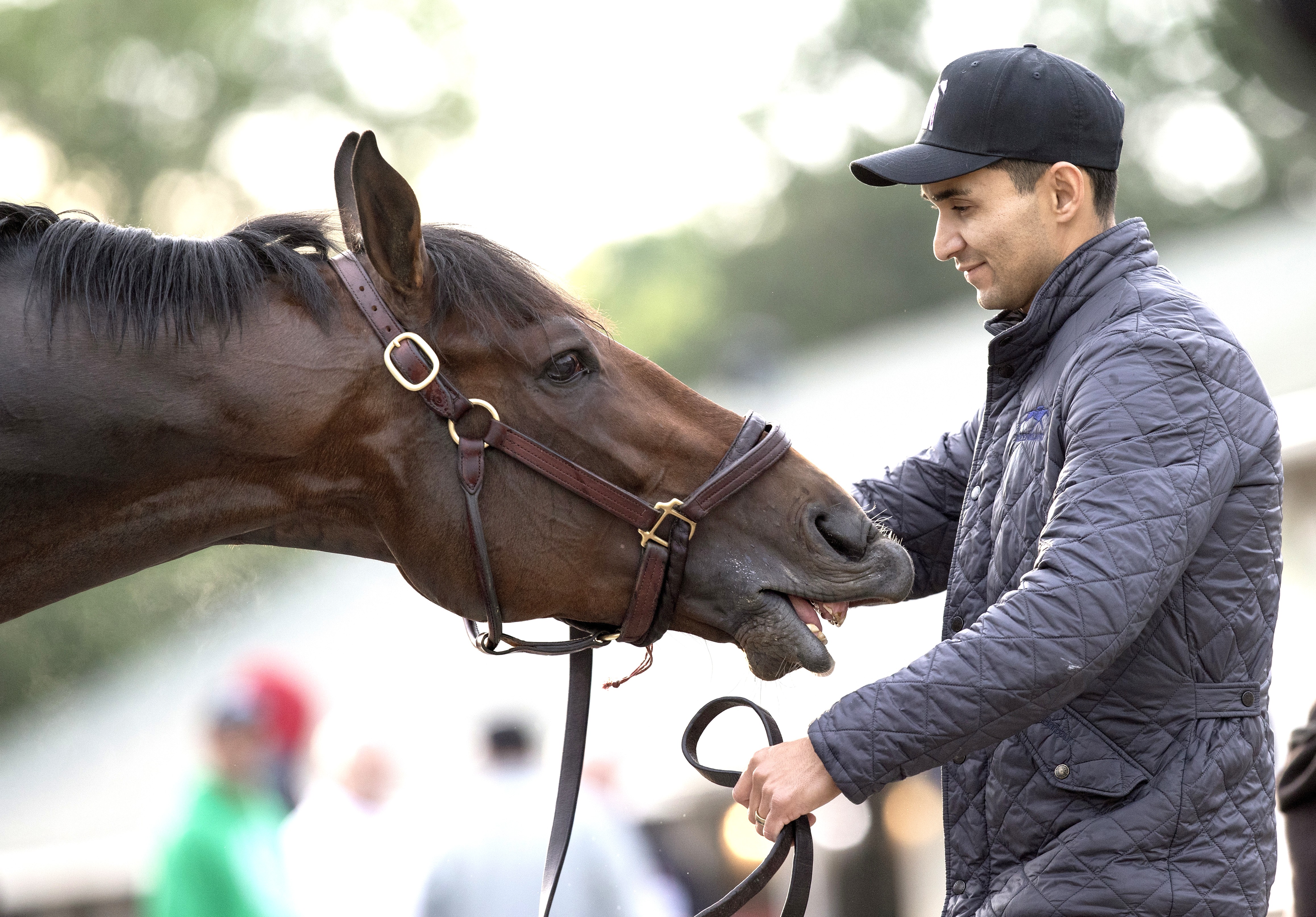 Kentucky Derby 2026: Golden Tempo has cracked heels; Renegade to wear ...