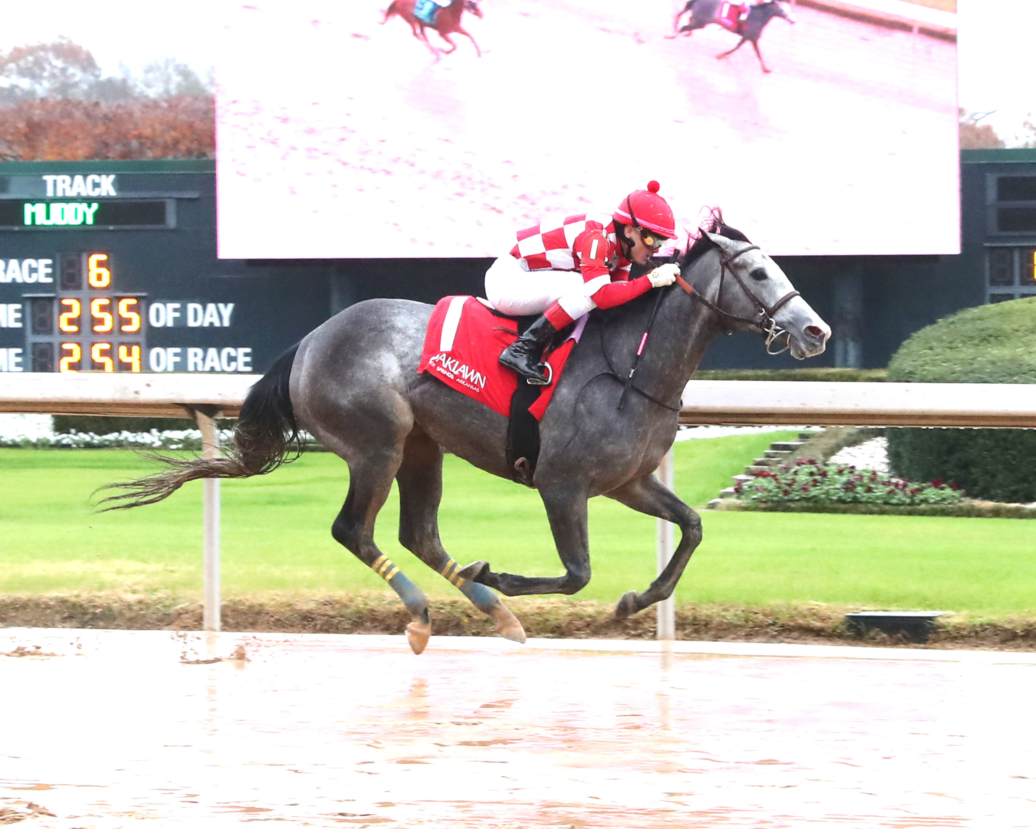 Lone Star Park | Horse Racing Track News | DRF