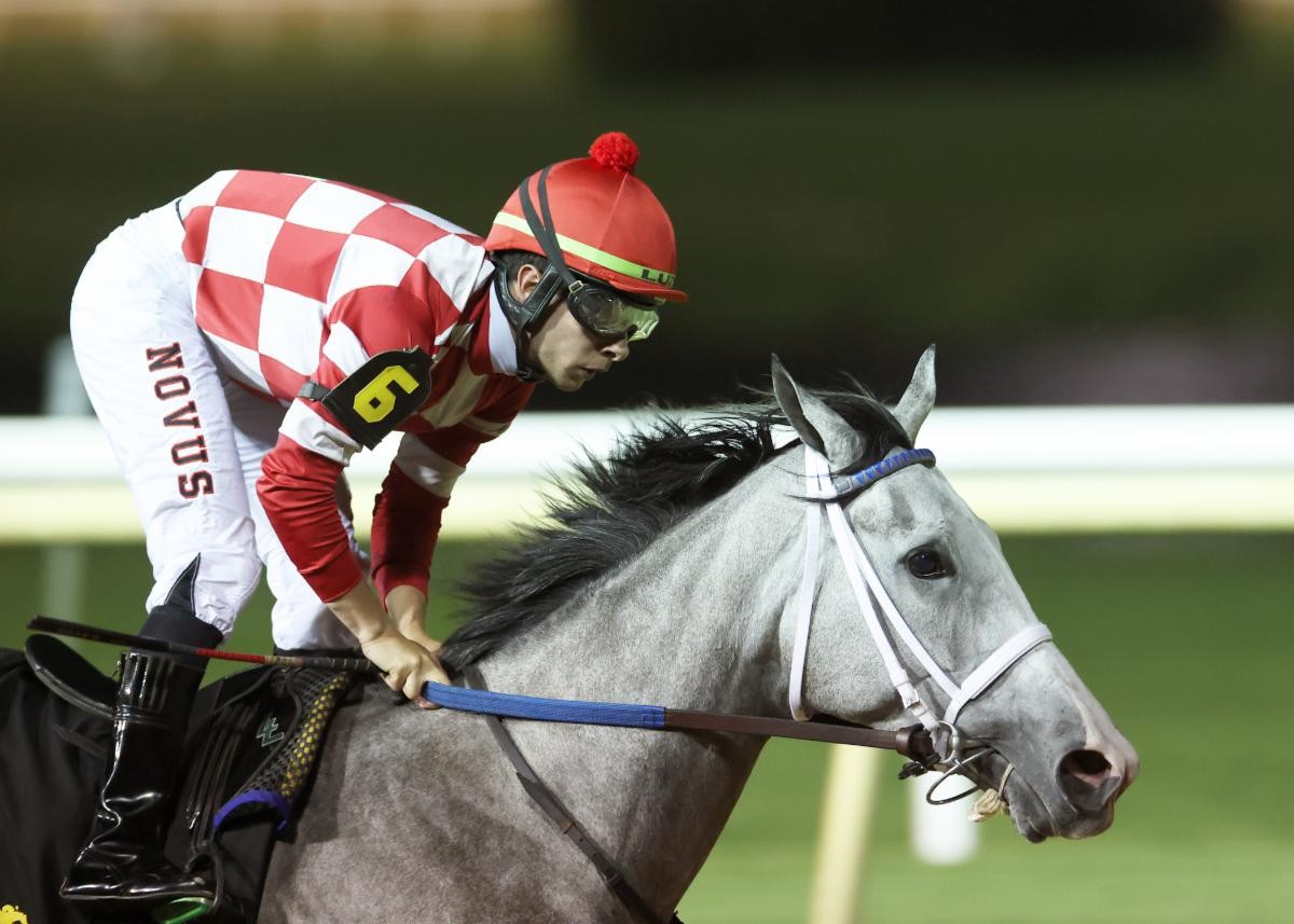 Lone star park | Horse Racing Track News | DRF