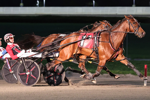 Harness: Nifty Norman with a busy stakes weekend at Yonkers, Pocono