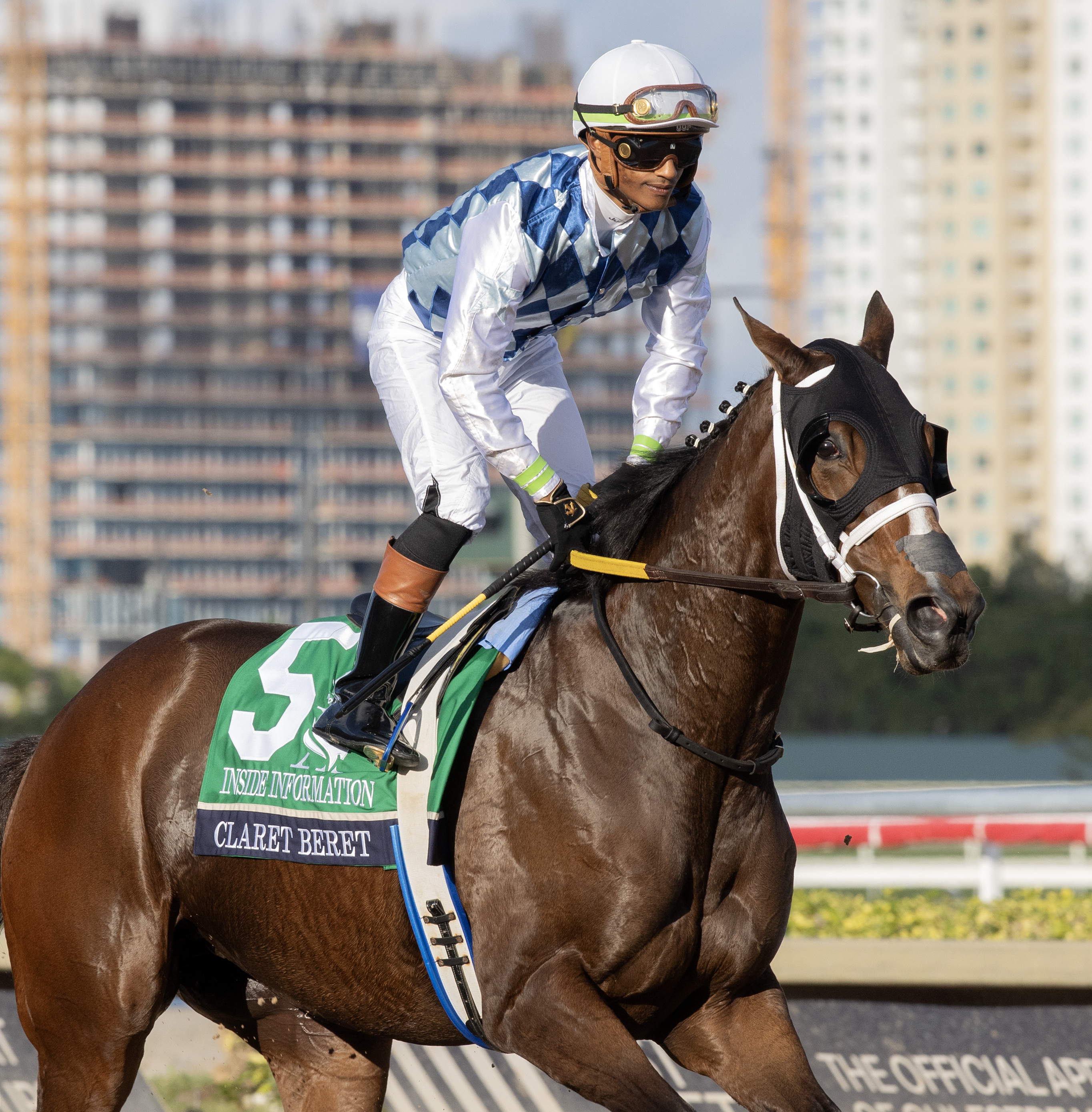 Grade 1 winner Claret Beret dies from possible cardiac event following ...