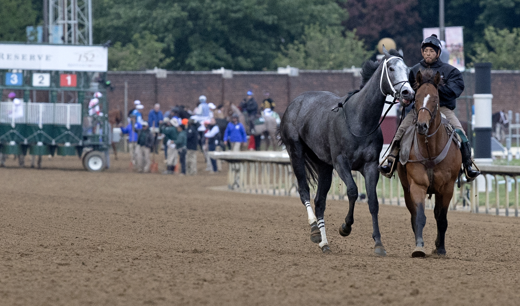 Kentucky Derby 2026: Great White, scratched after fall entering gate ...