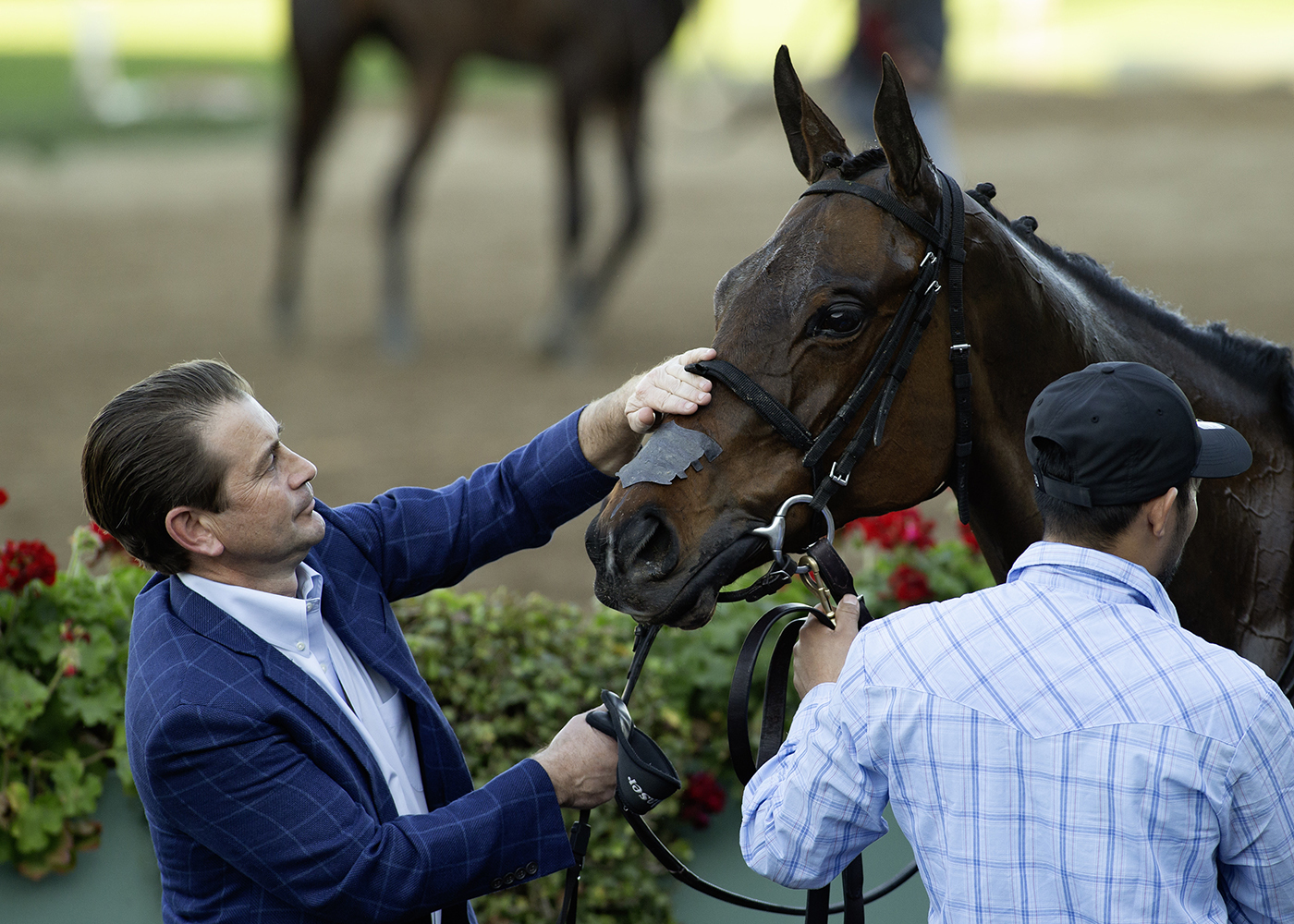Mrs. Astor retired, bred to Upstart