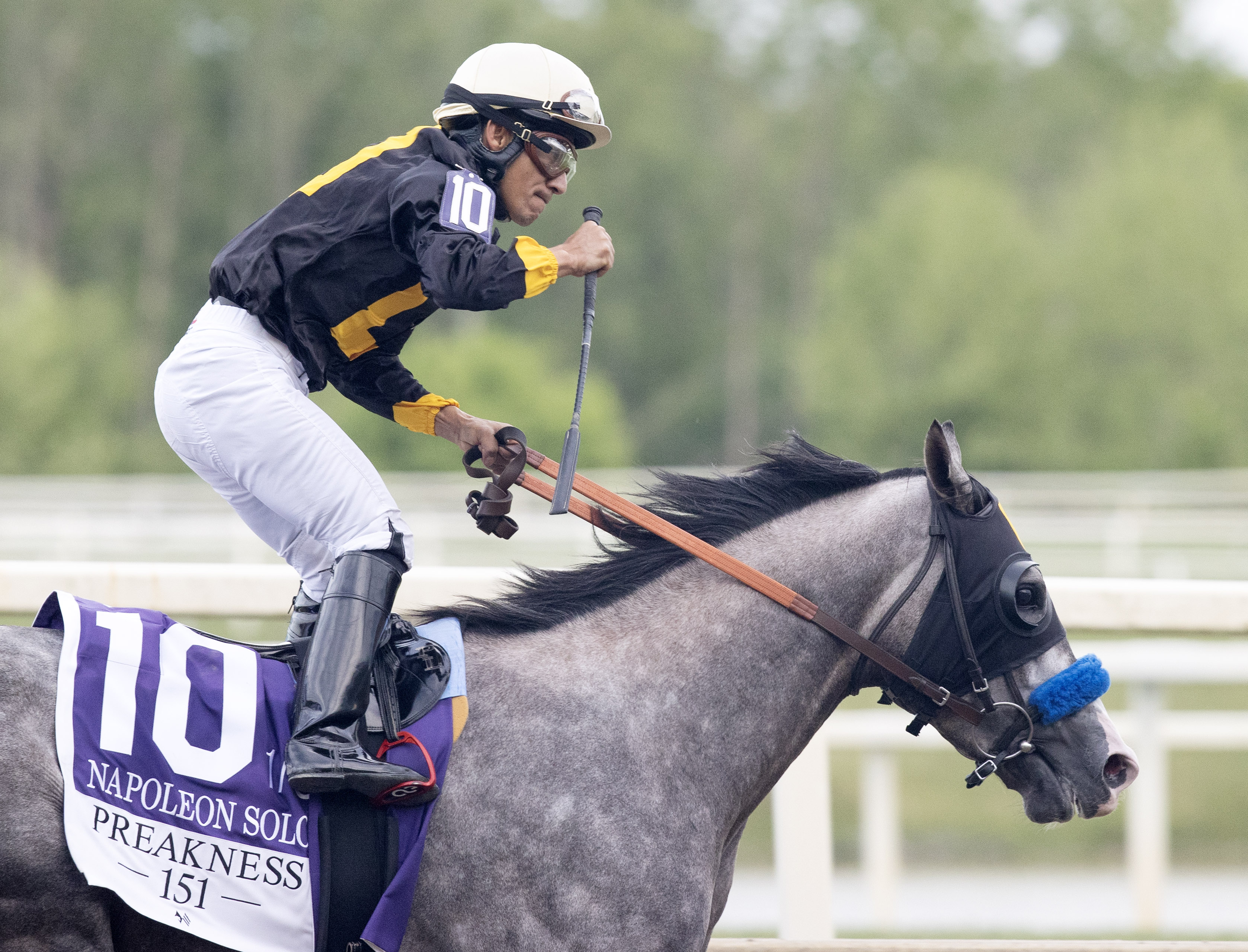 Napoleon Solo surges to Preakness victory