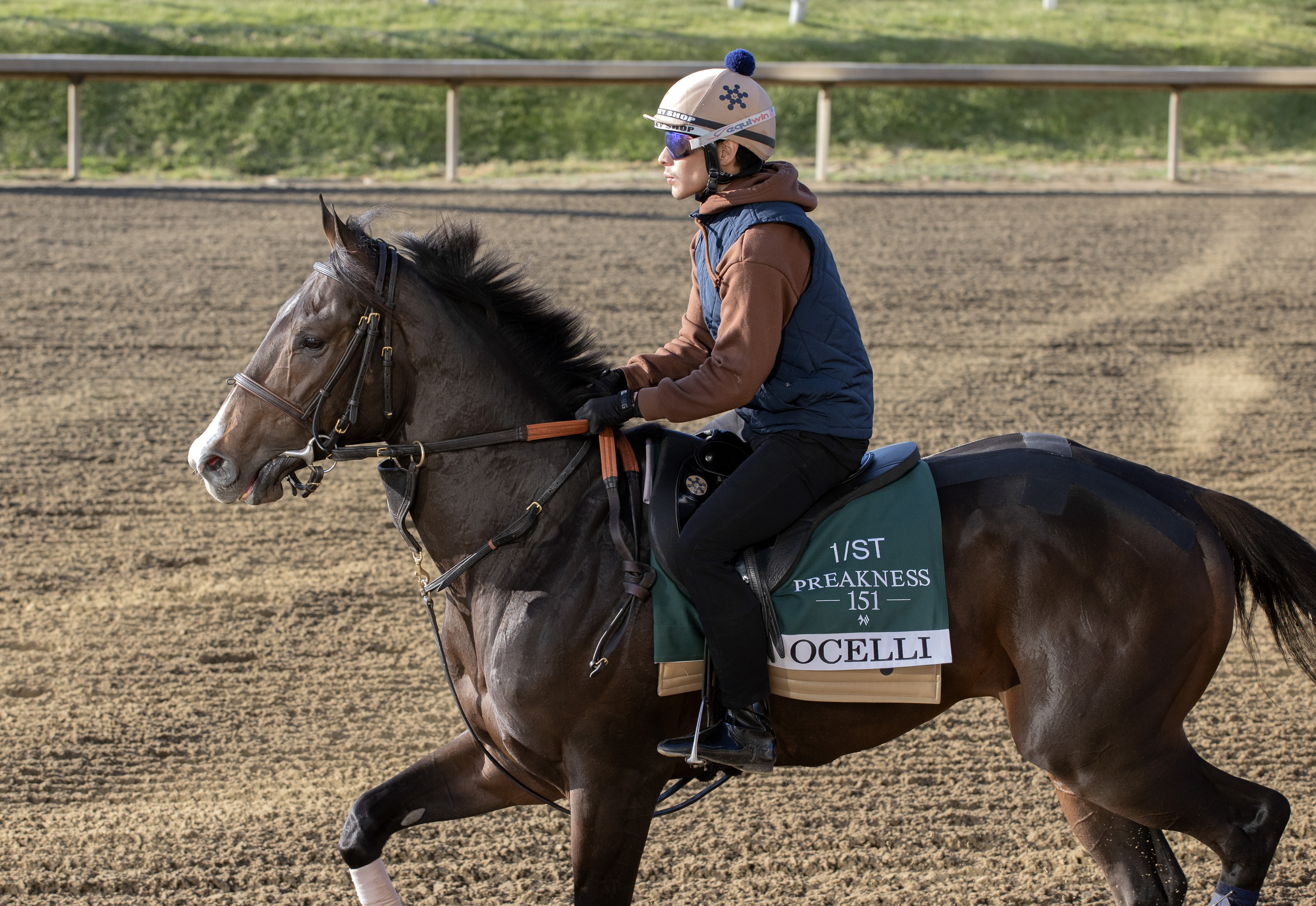 Preakness 2026: Still a maiden, third-place Derby finisher Ocelli has ...