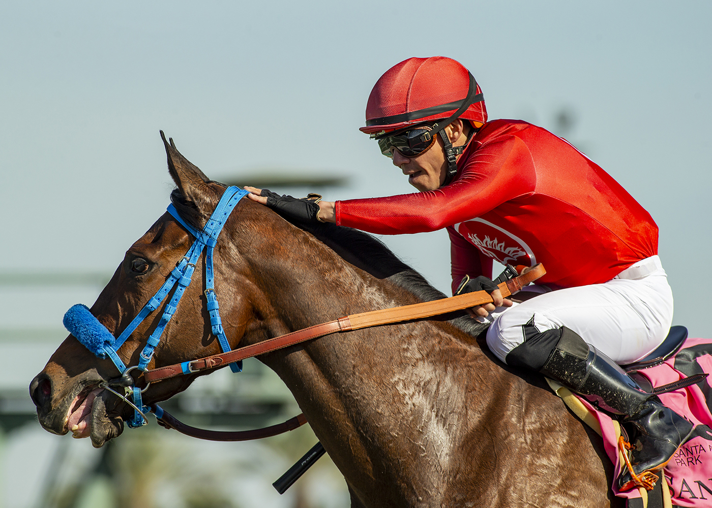 Take A Breath in good form for Gamely Stakes