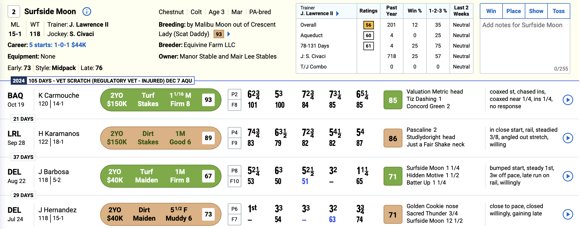 Saturday TimeformUS Highlight Horse: Surfside Moon deserves another ...