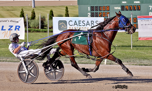 Harness: Milestones for drivers Trace Tetrick, Tyler Smith