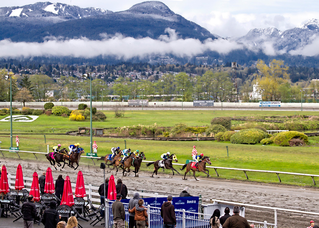 Hastings Racecourse Live Horse Racing Track News & Schedules