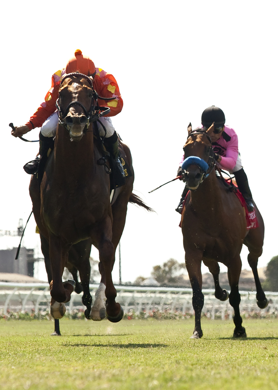Tom's Tribute provides emotional win in Eddie Read