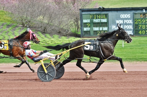 Pocono: Straight Talk, Mad Man Hill double up in Weiss Series