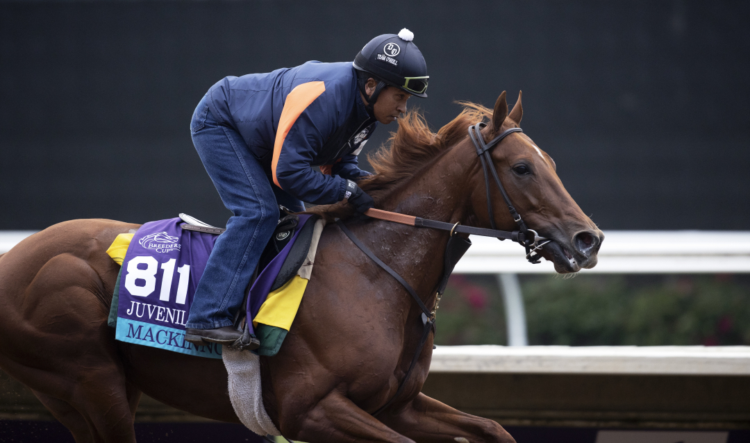 Brad Free's Santa Anita Horses to Watch for week of March 7-9, 2025