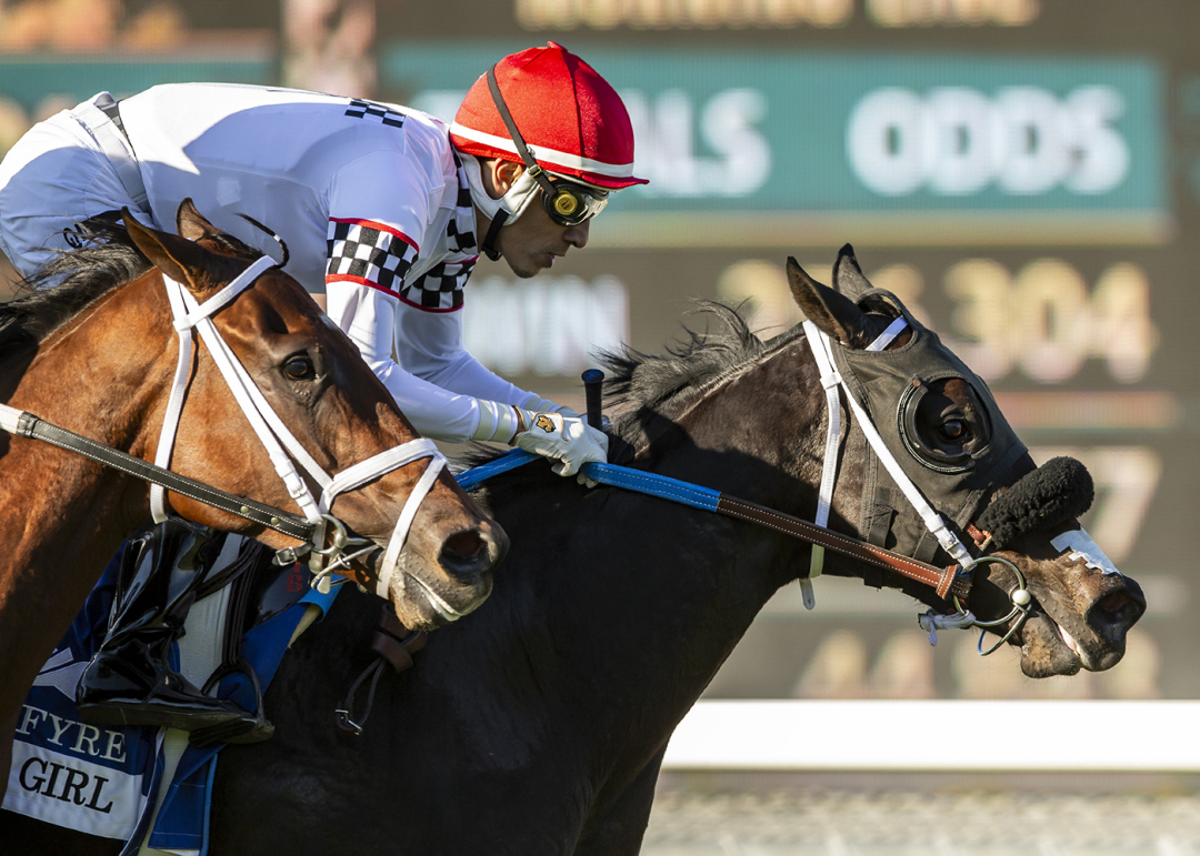 Dreamfyre survives inquiry, stays undefeated with Surfer Girl victory