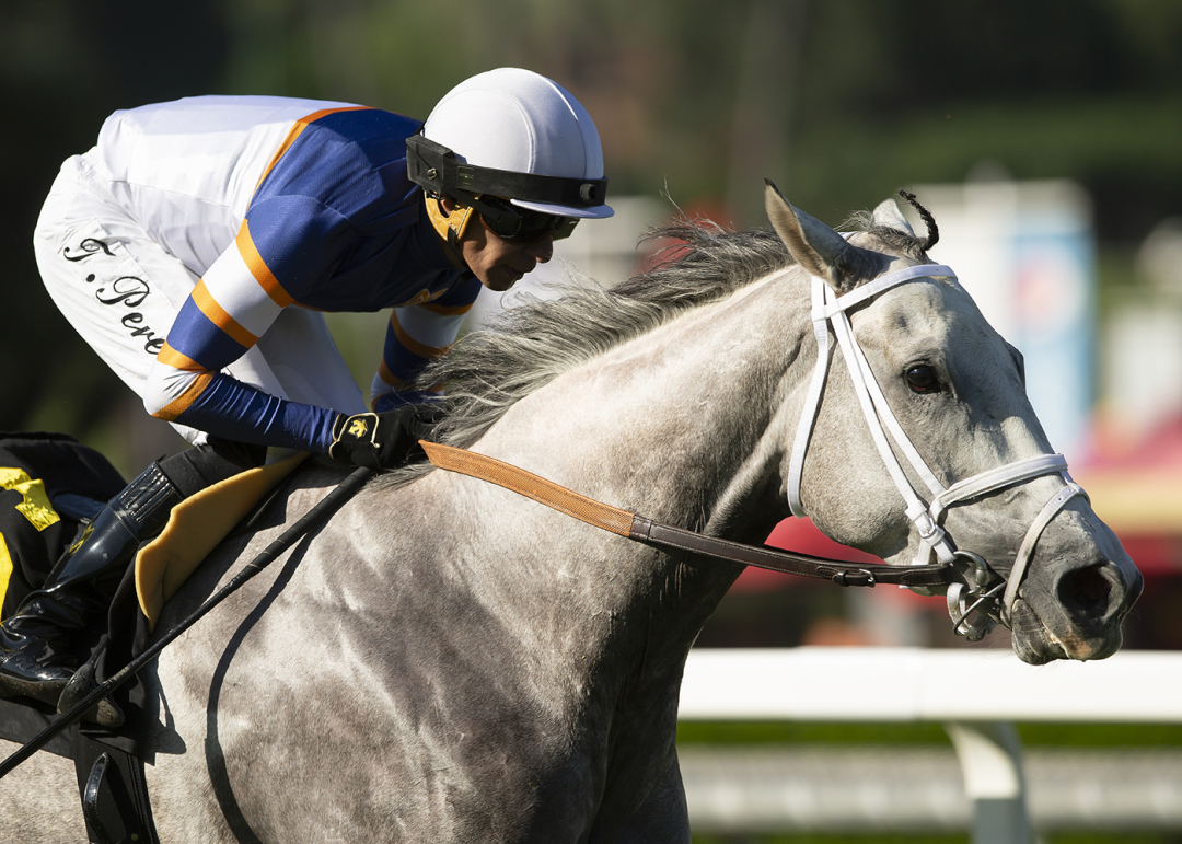 Rose Maddox's stretch rally gives her California Distaff Handicap victory